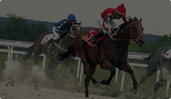Positive ROI report: Boyce solid in allowances