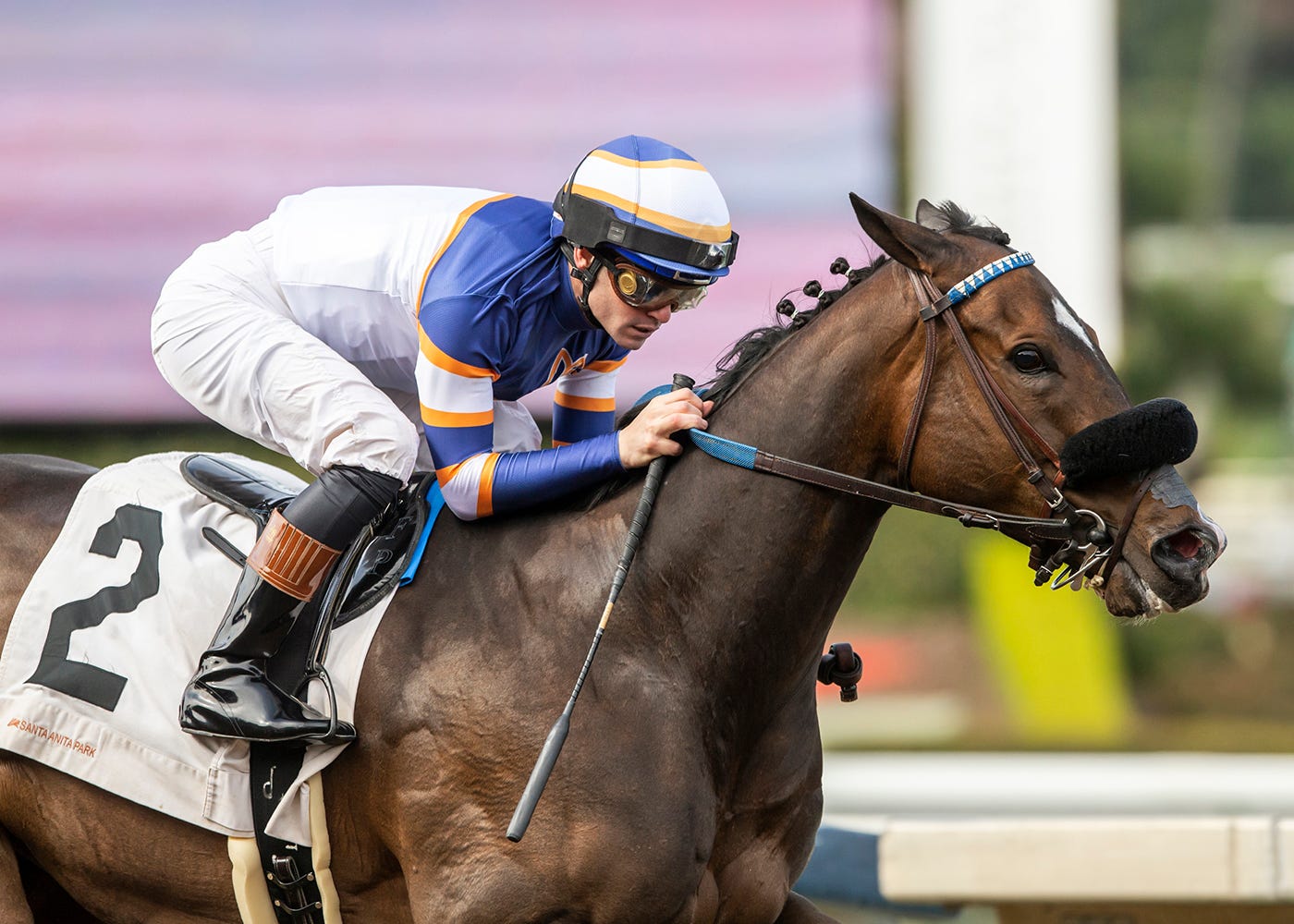 Alice Marble takes advantage of clean trip in Irish O'Brien Stakes