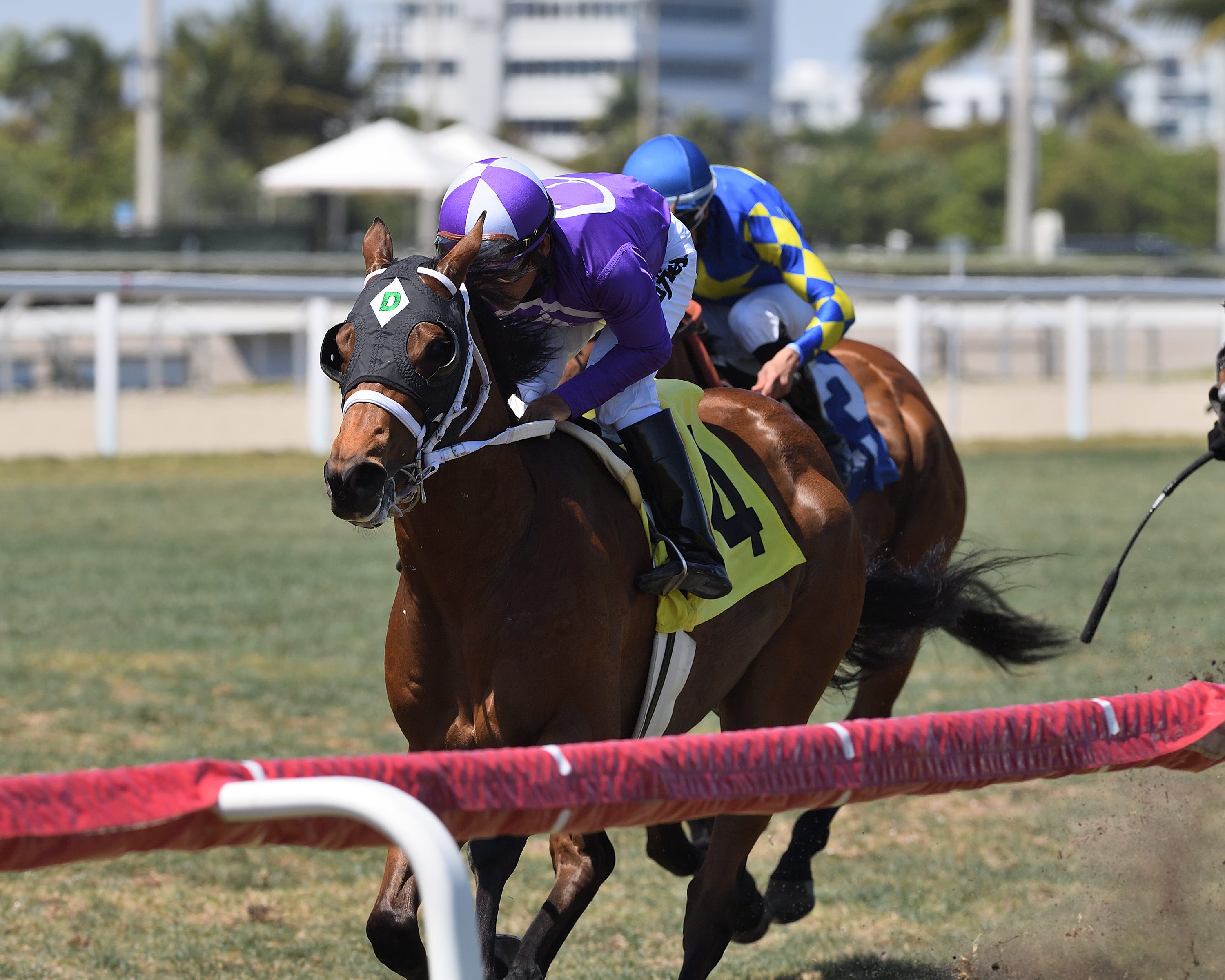 Crispy Cat impresses with Texas Glitter triumph