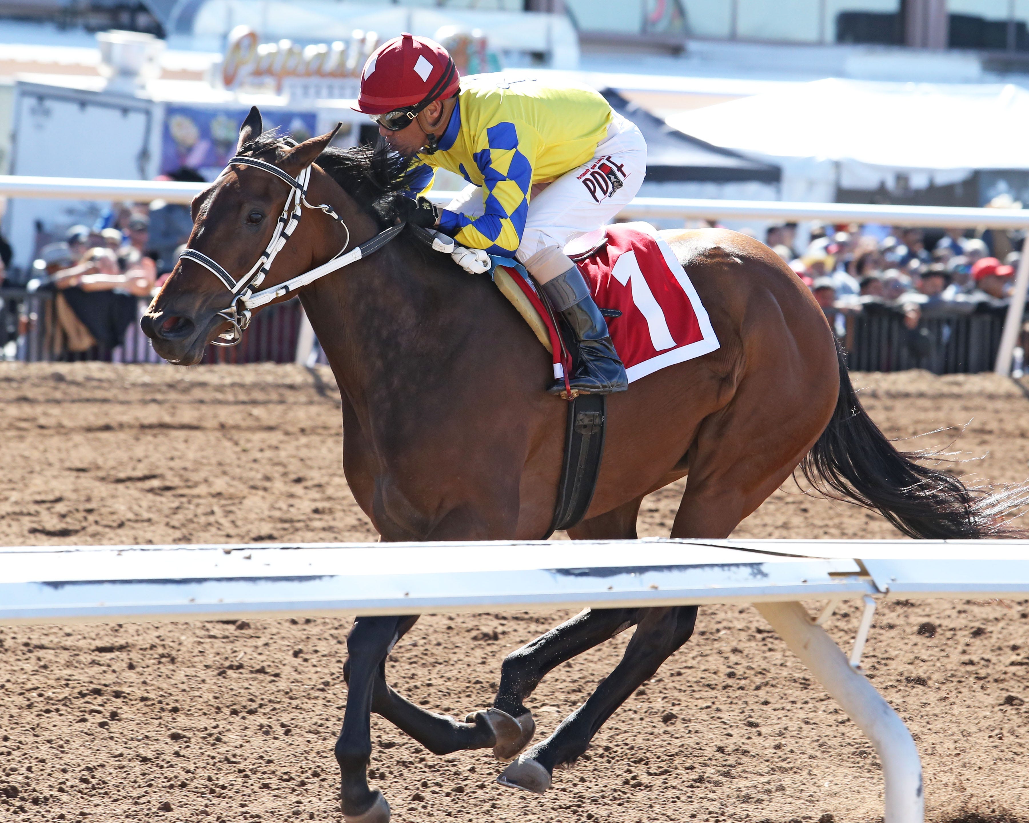 After Sunland Oaks win, Flying Connection full speed ahead for Kentucky ...