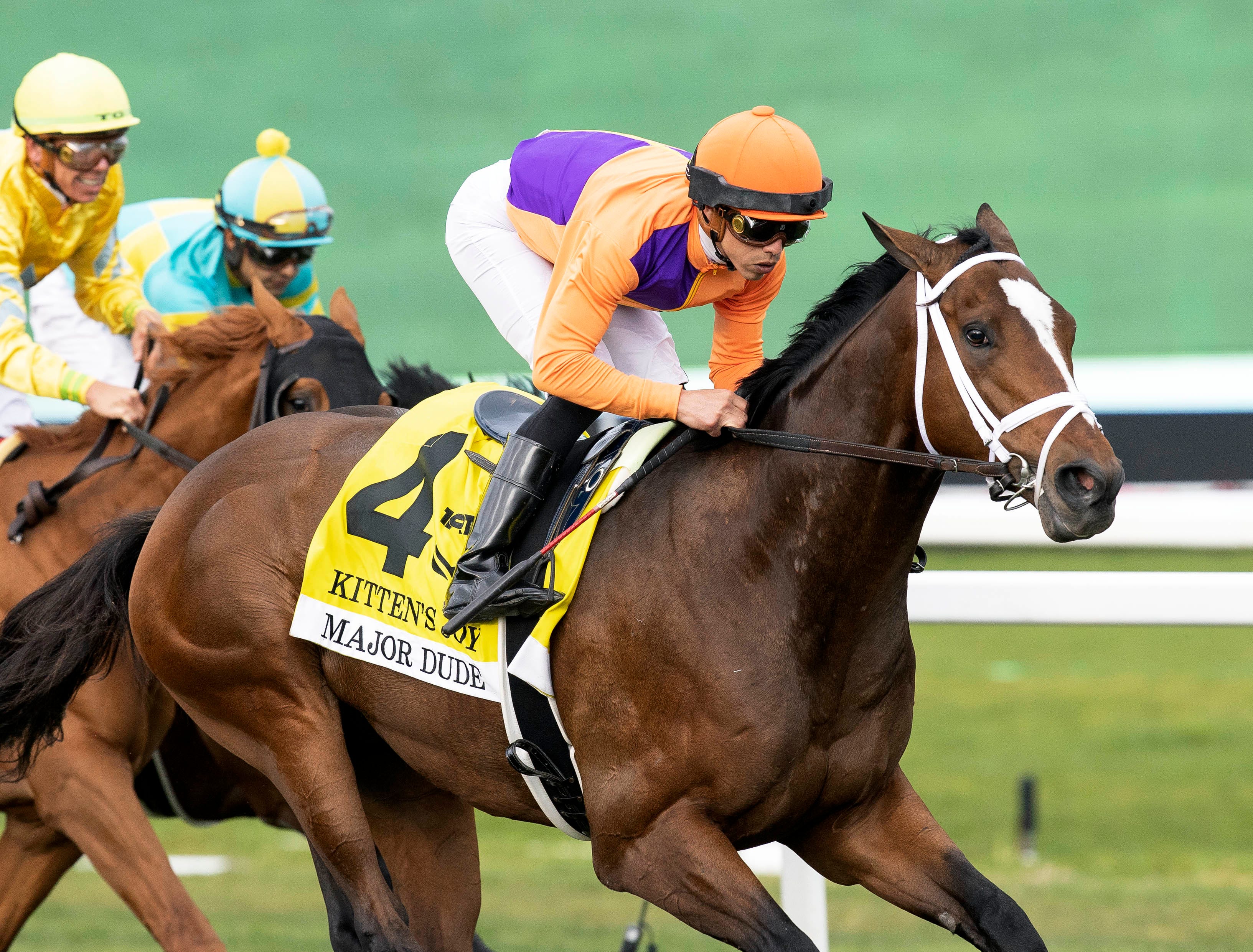 Major Dude, Two Phil's switch to Tapeta for Jeff Ruby Steaks