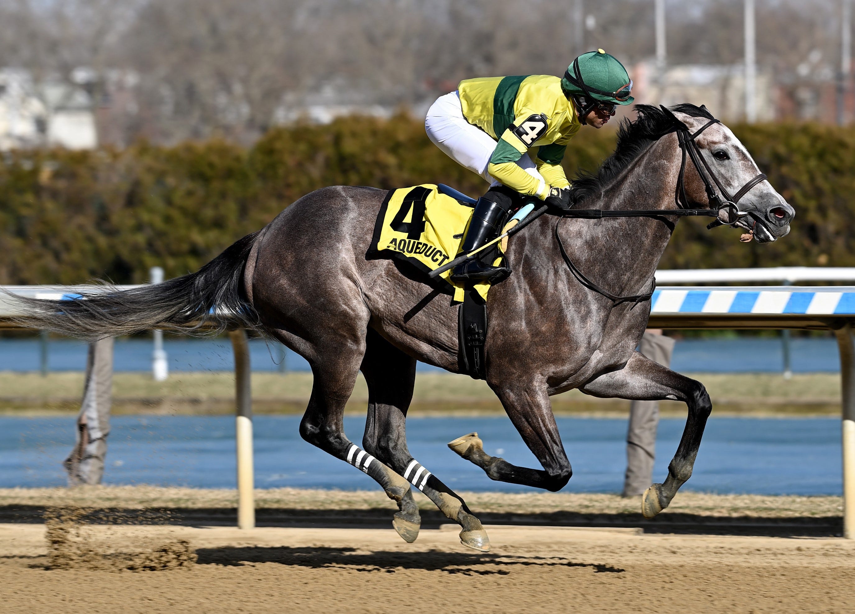 Maple Leaf Mel easily wins comeback in East View