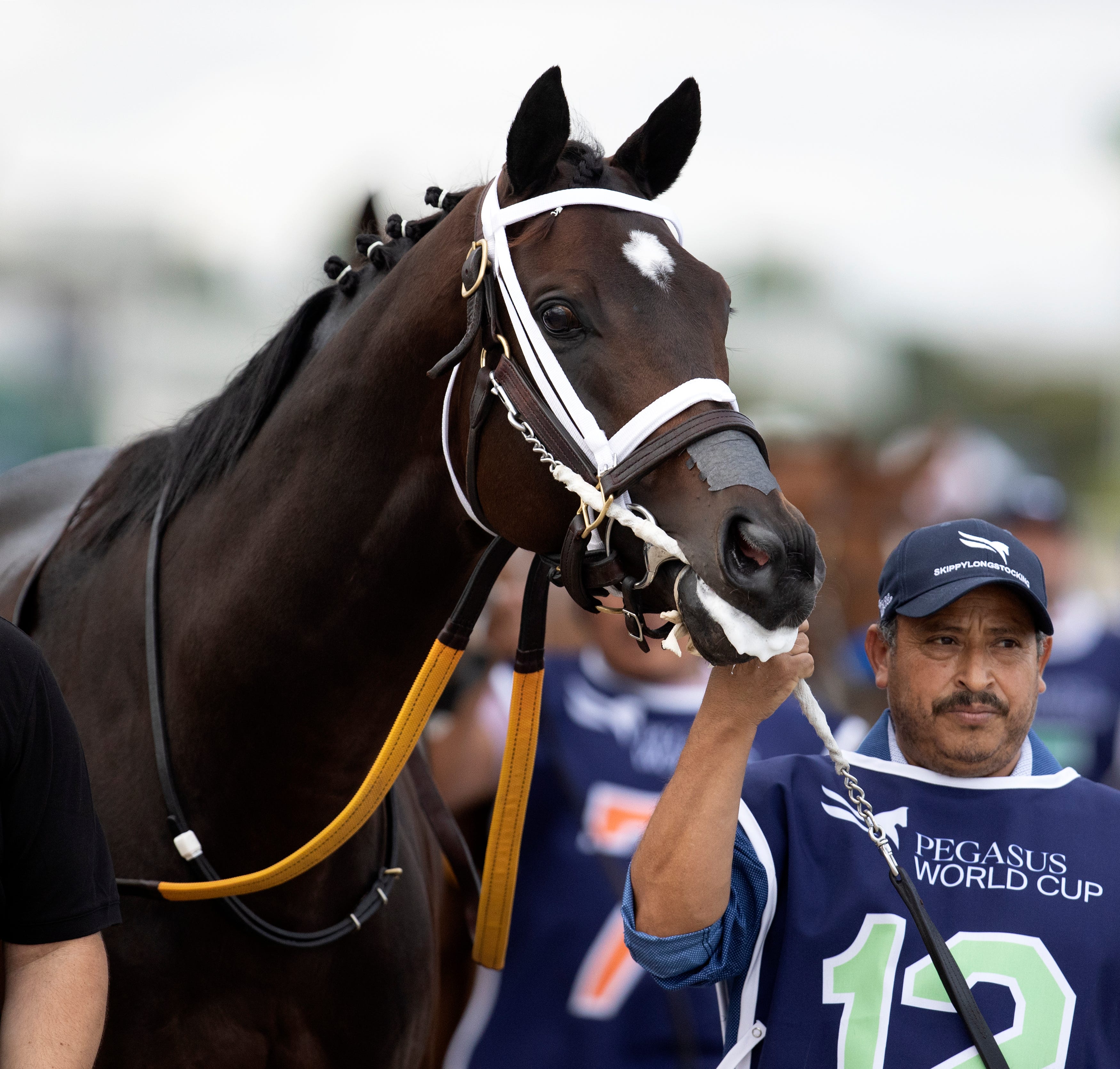 The real O'Connor looks set to step up in Ghostzapper Stakes