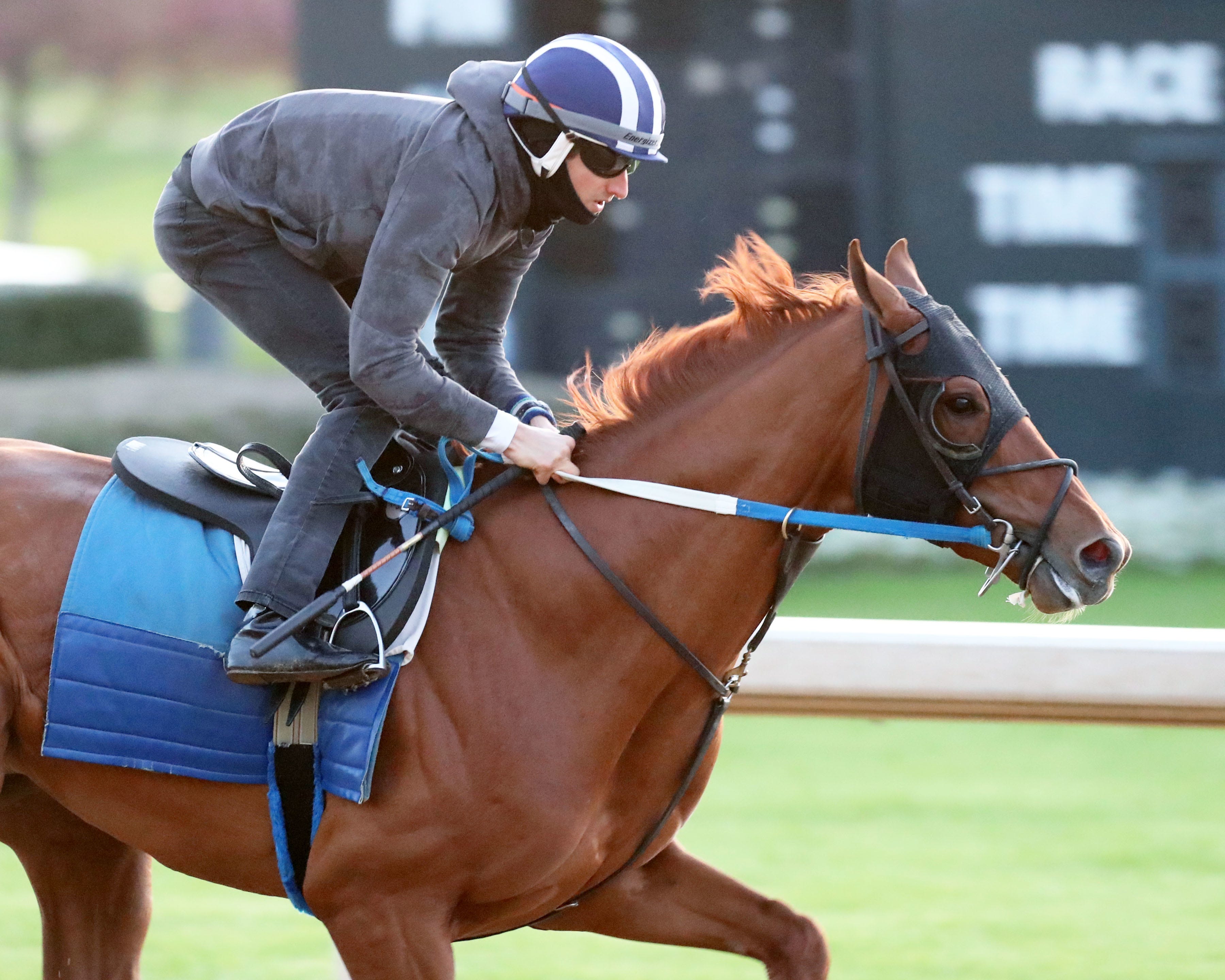 2023 Kentucky Derby pedigree profile: Red Route One