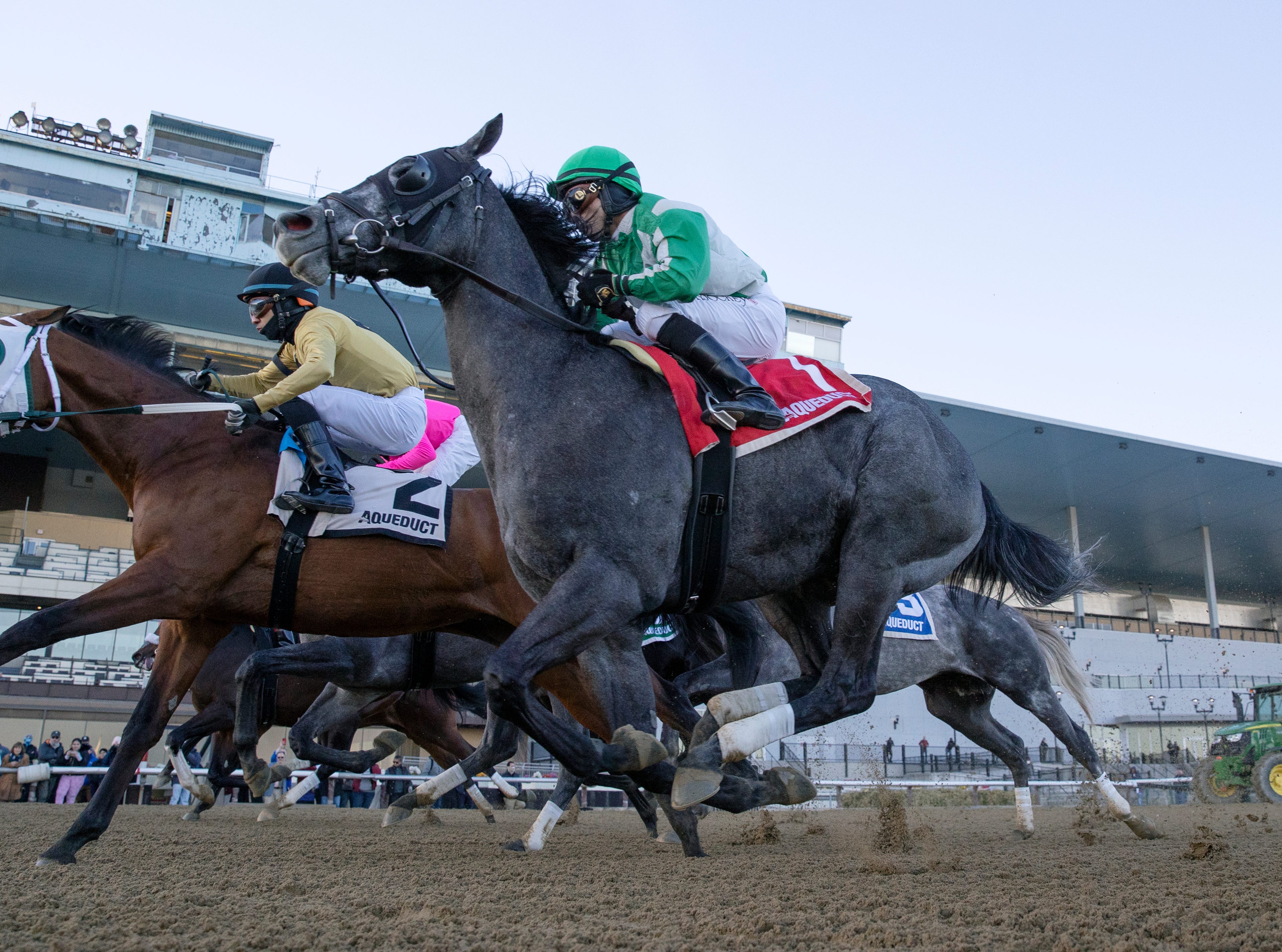 Arctic Arrogance being considered for Pat Day Mile