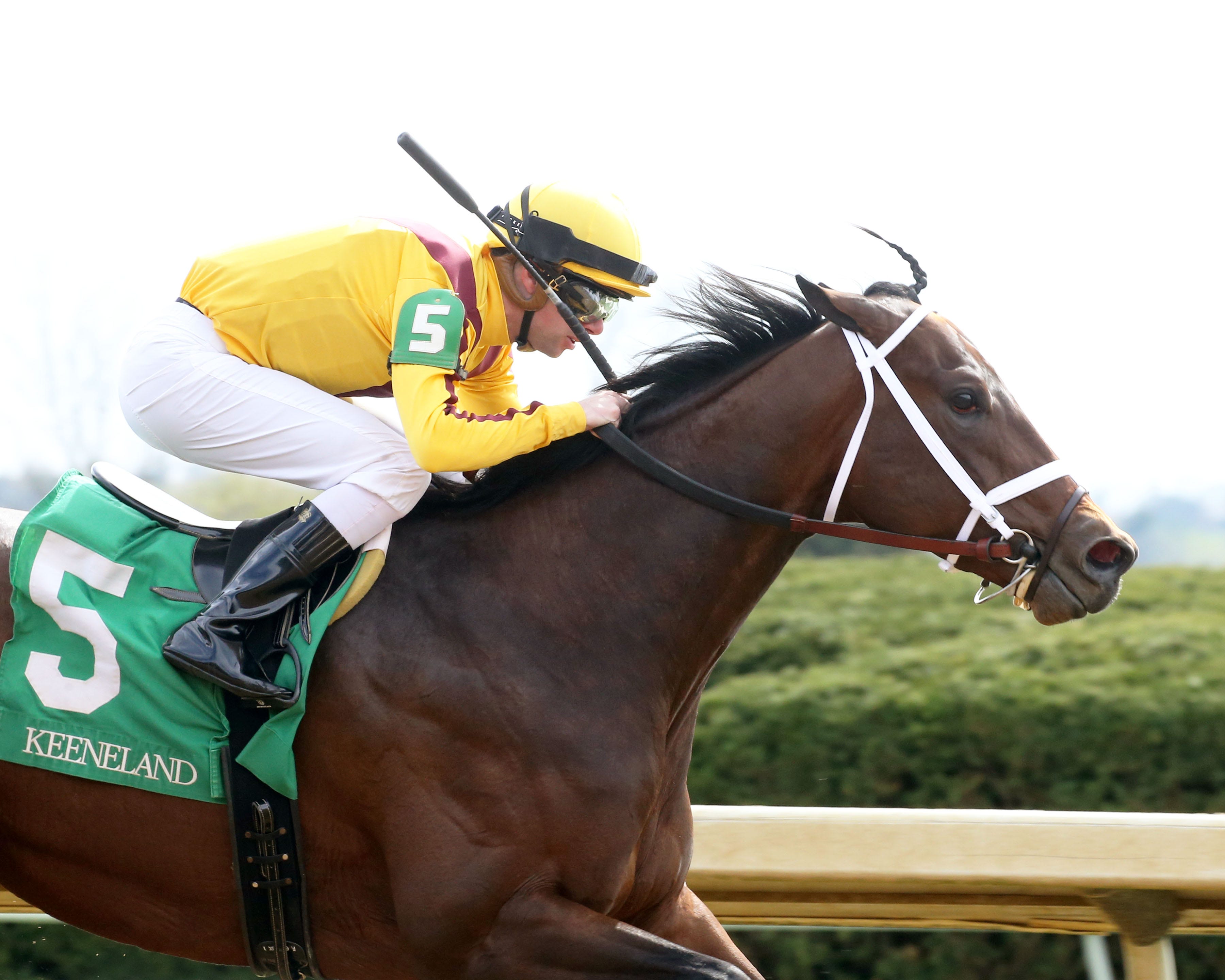 After Lafayette win, Corona Bolt will go next in Pat Day or Woody Stephens