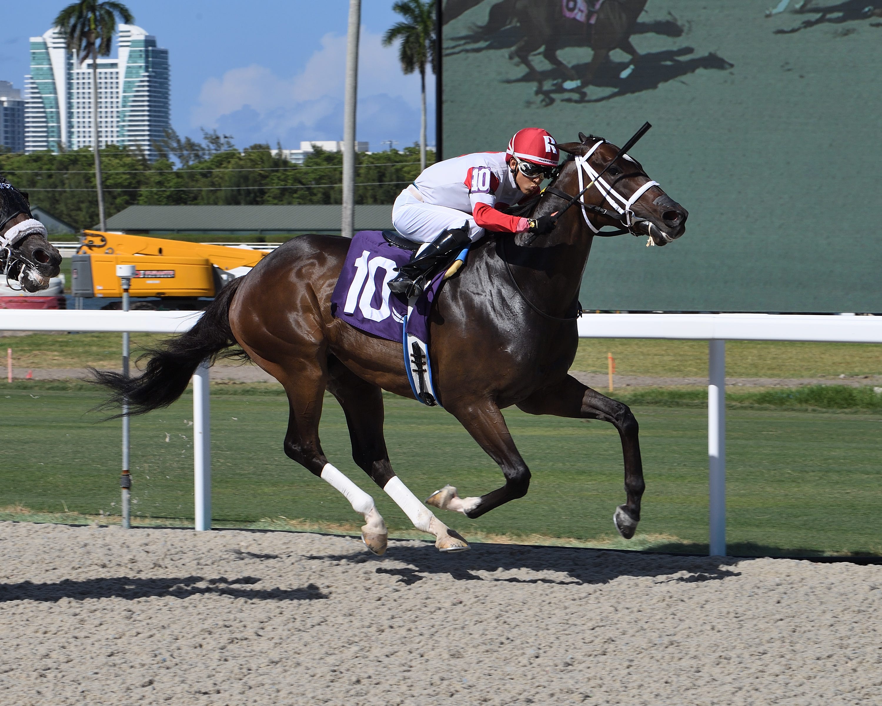 Turf sprint looks wide open