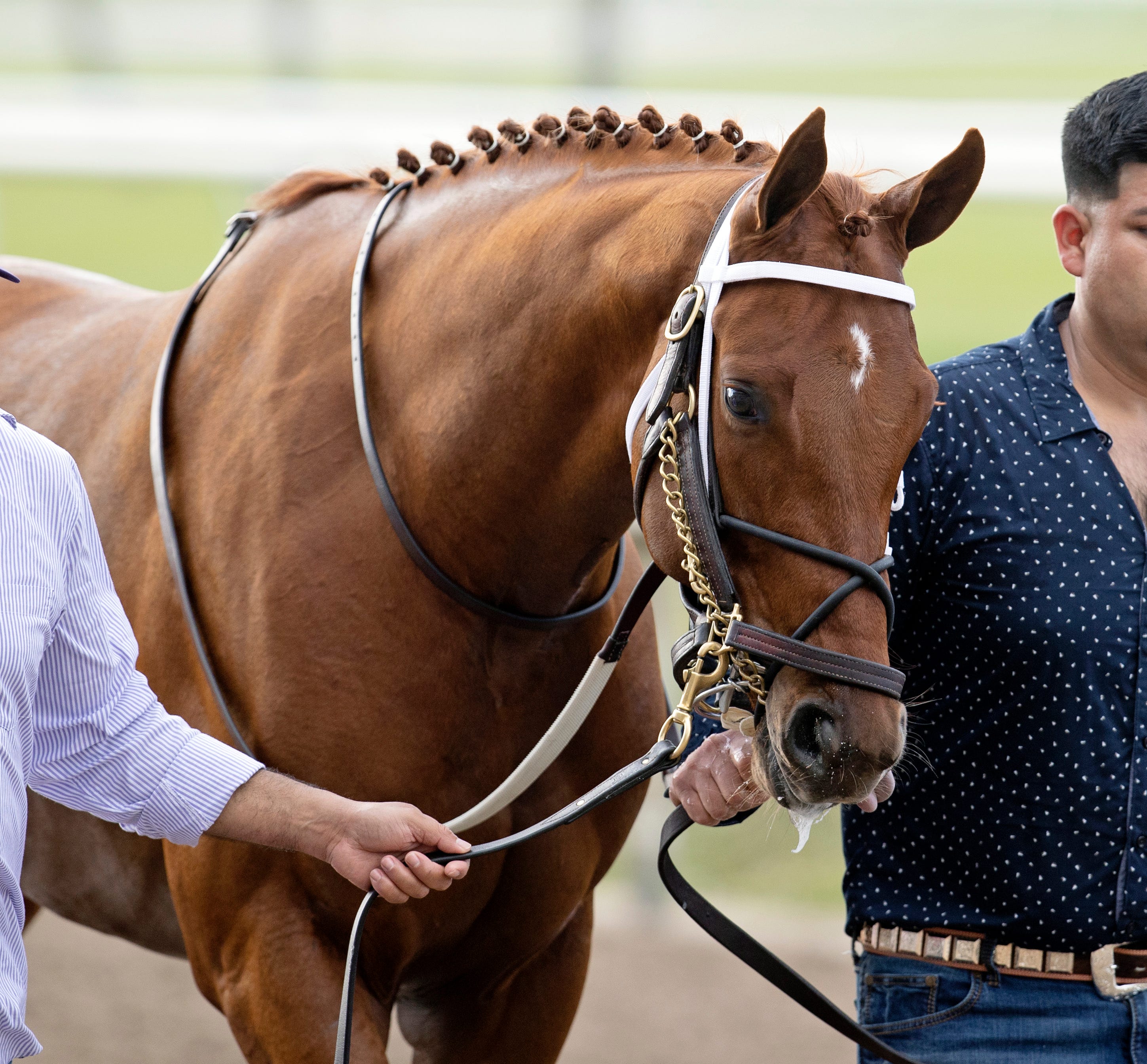 Lexington gives Disarm a final chance to make it to Kentucky Derby