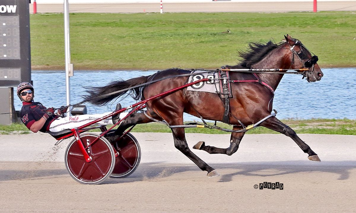 Miami Valley: Prushnok getting a bang out of Dynamite Dylan