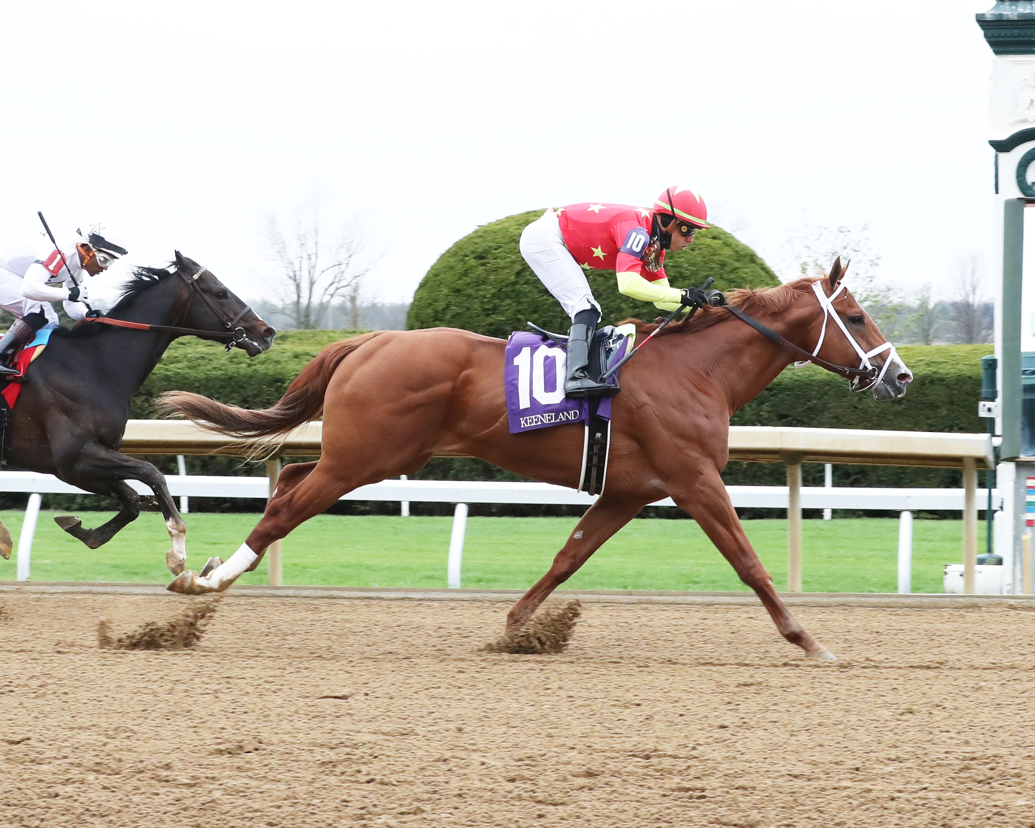 Breakout Beyers: No doubts about Equivoque's talent in stirring debut win