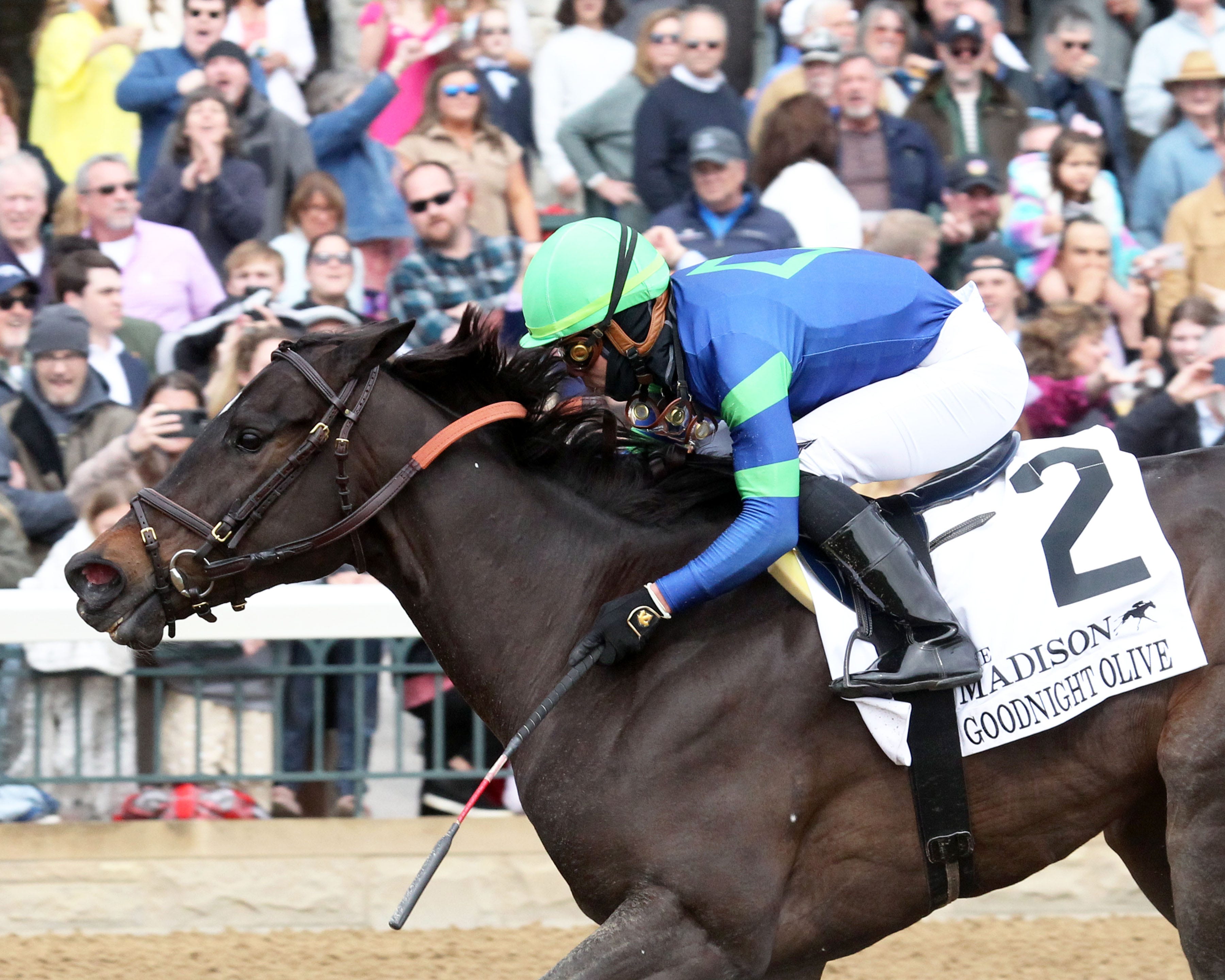 Goodnight Olive notches seventh straight win with Madison Stakes