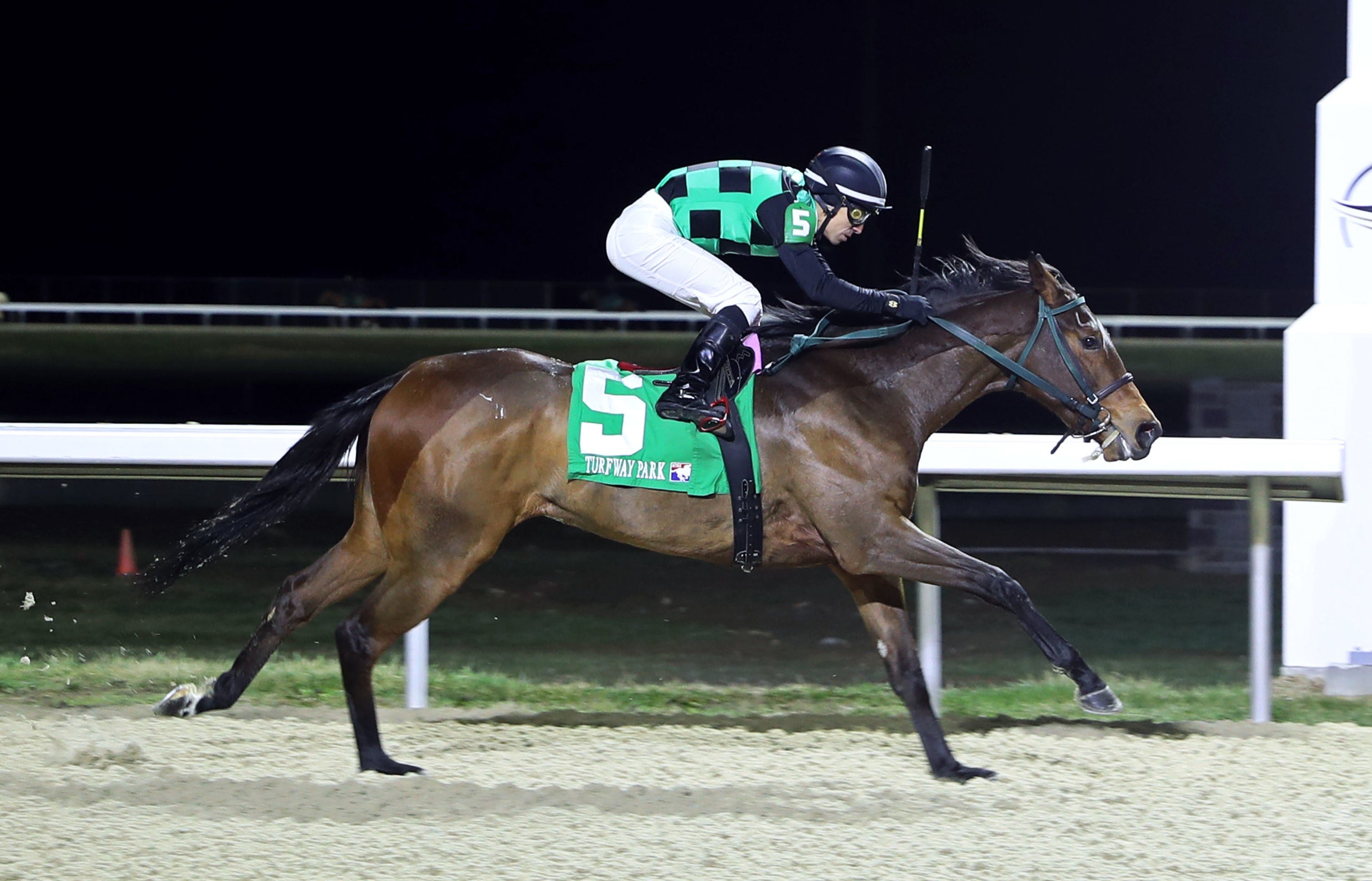 Consistent Jill Jitterbug will be rolling late in Star Shoot