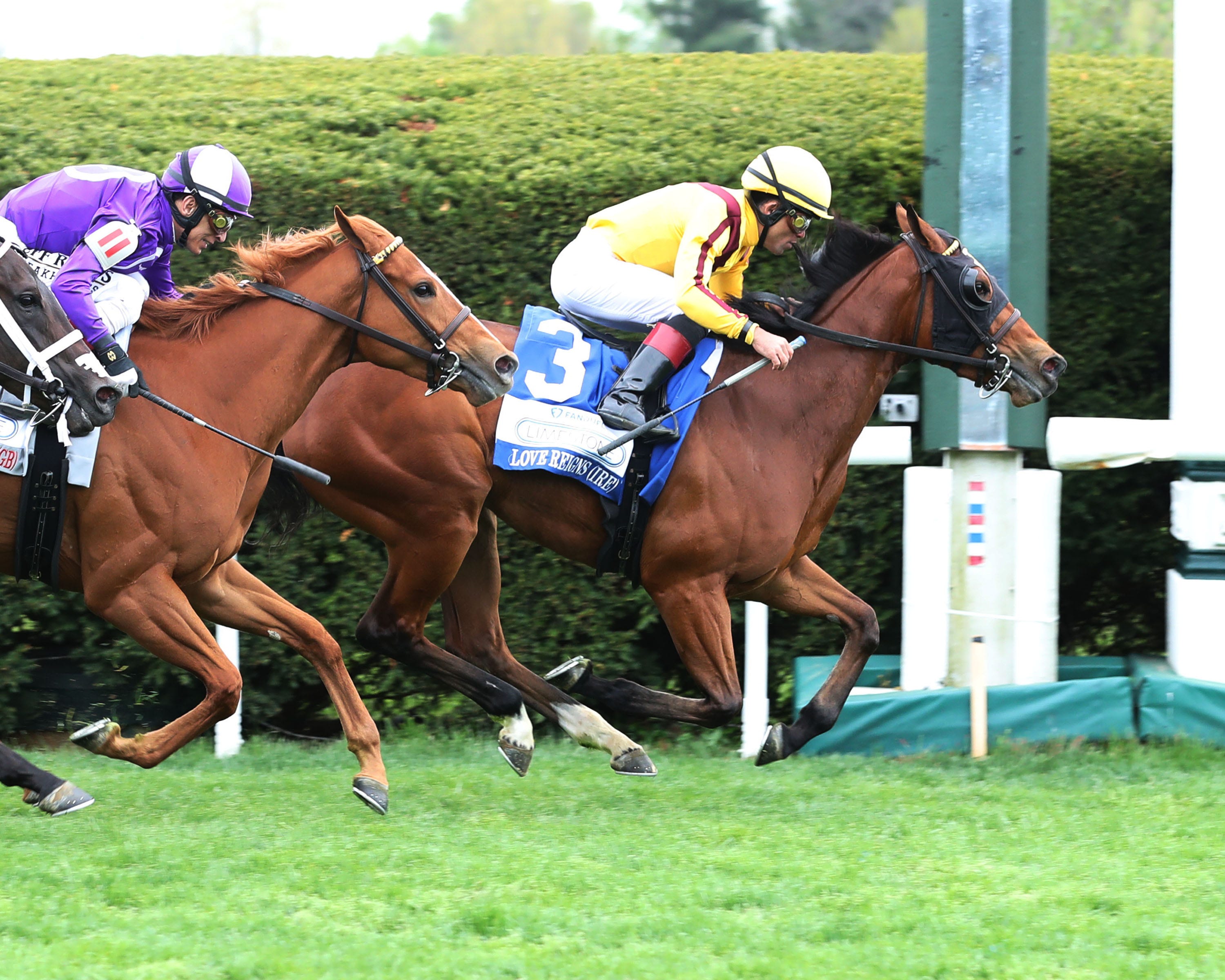 Love Reigns nips stablemate Lady Hollywood to win Limestone Stakes