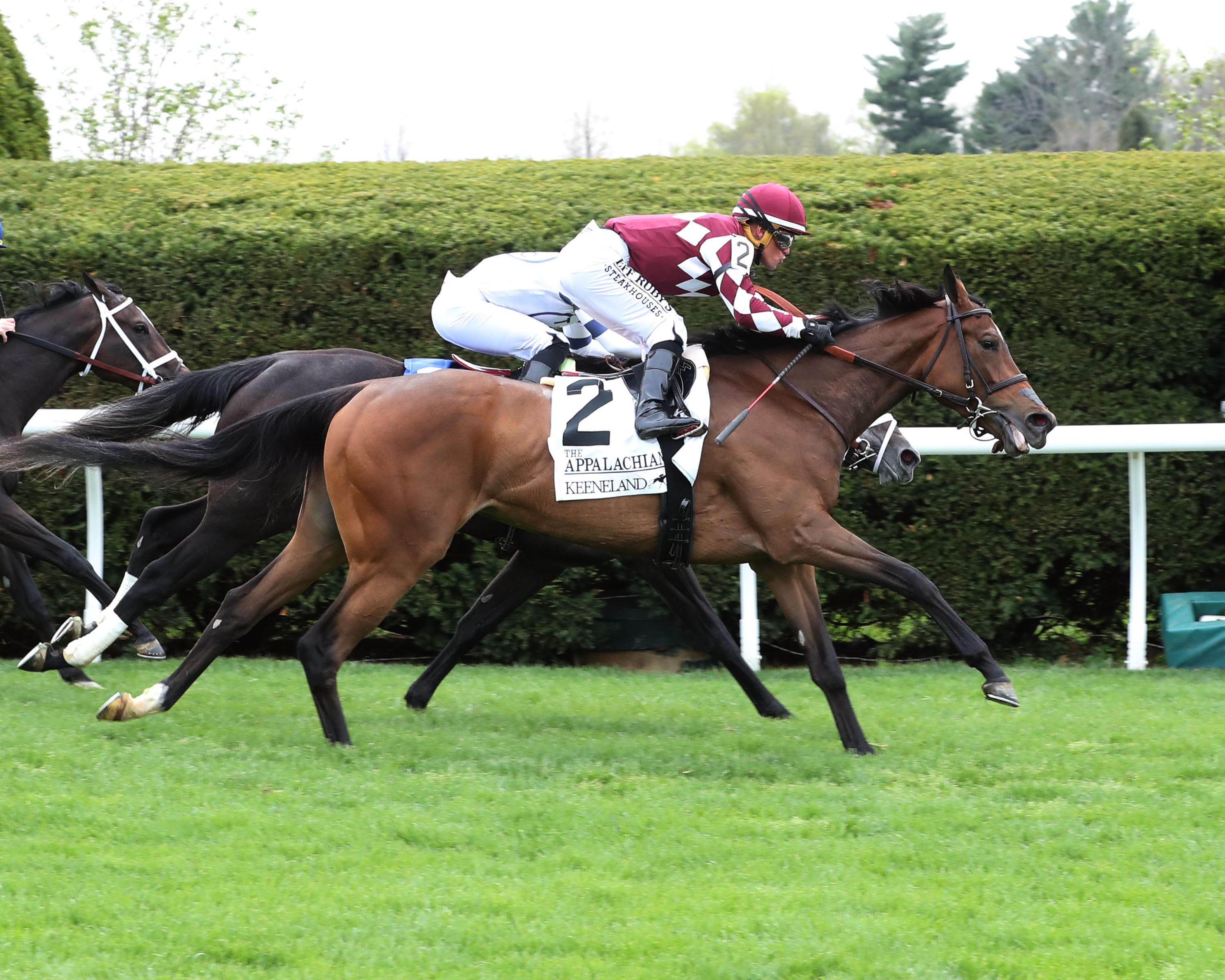 Papilio puts smile back on Casse's face with victory in Appalachian Stakes