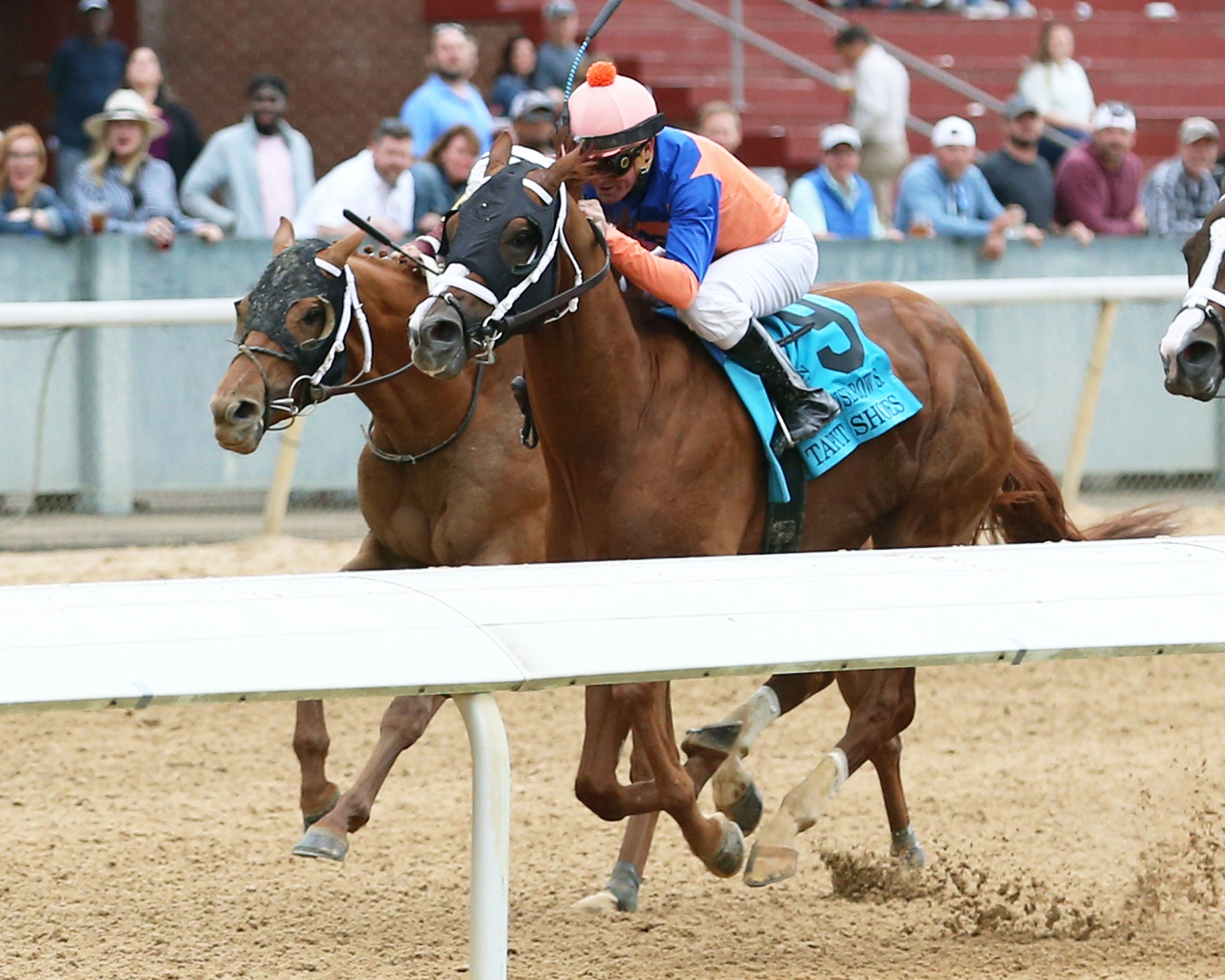 Red Route One gets past Tapit Shoes at wire in Bath House Row