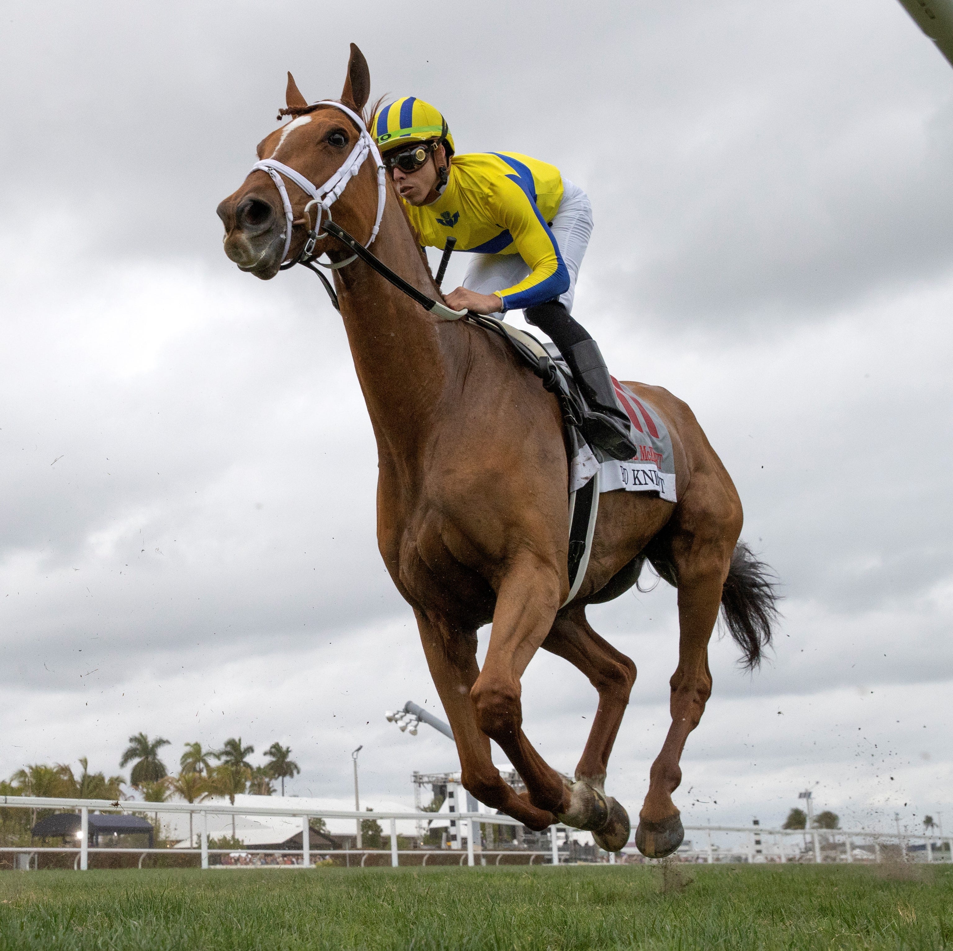 Fields for three stakes coming together