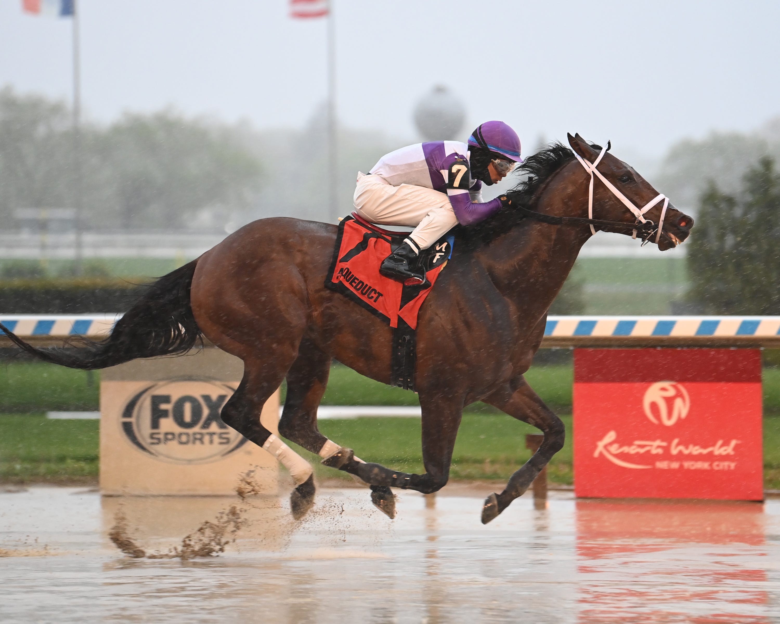 Today’s Flavor dominates Affirmed Success Stakes