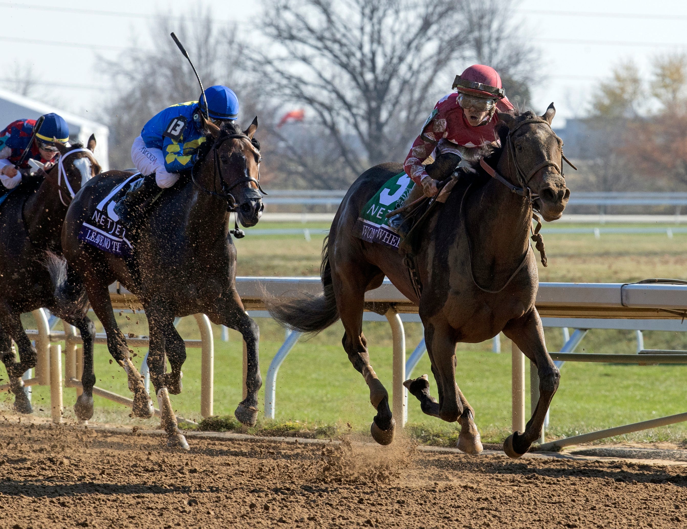Wonder Wheel using Ashland as springboard to Kentucky Oaks