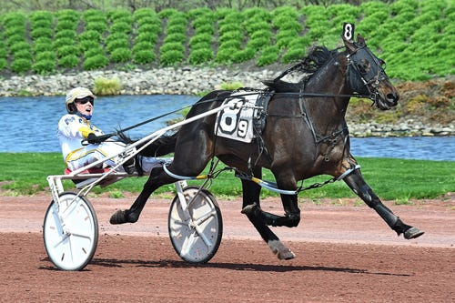 Harness: Schnittker eyeing breakout year for 5-year-old Billy Clyde