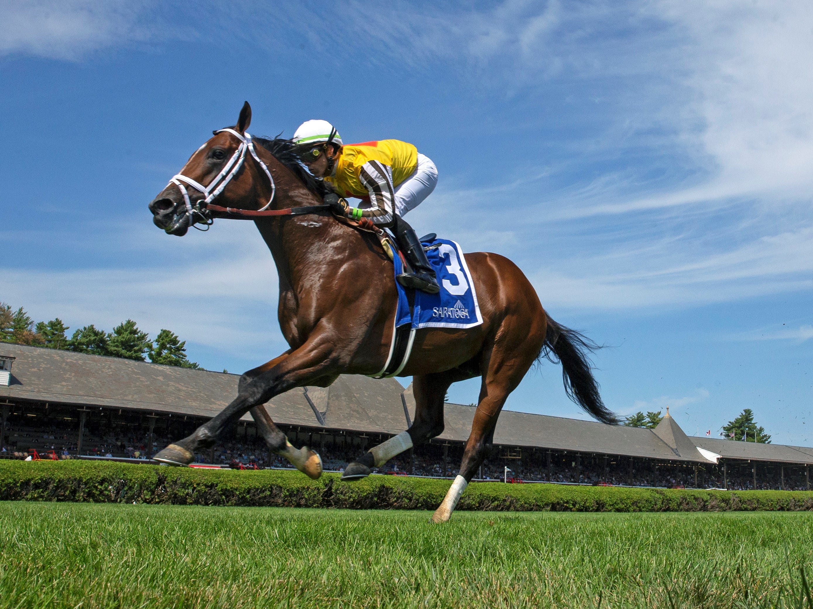 Annapolis clearly the class of Opening Verse Stakes