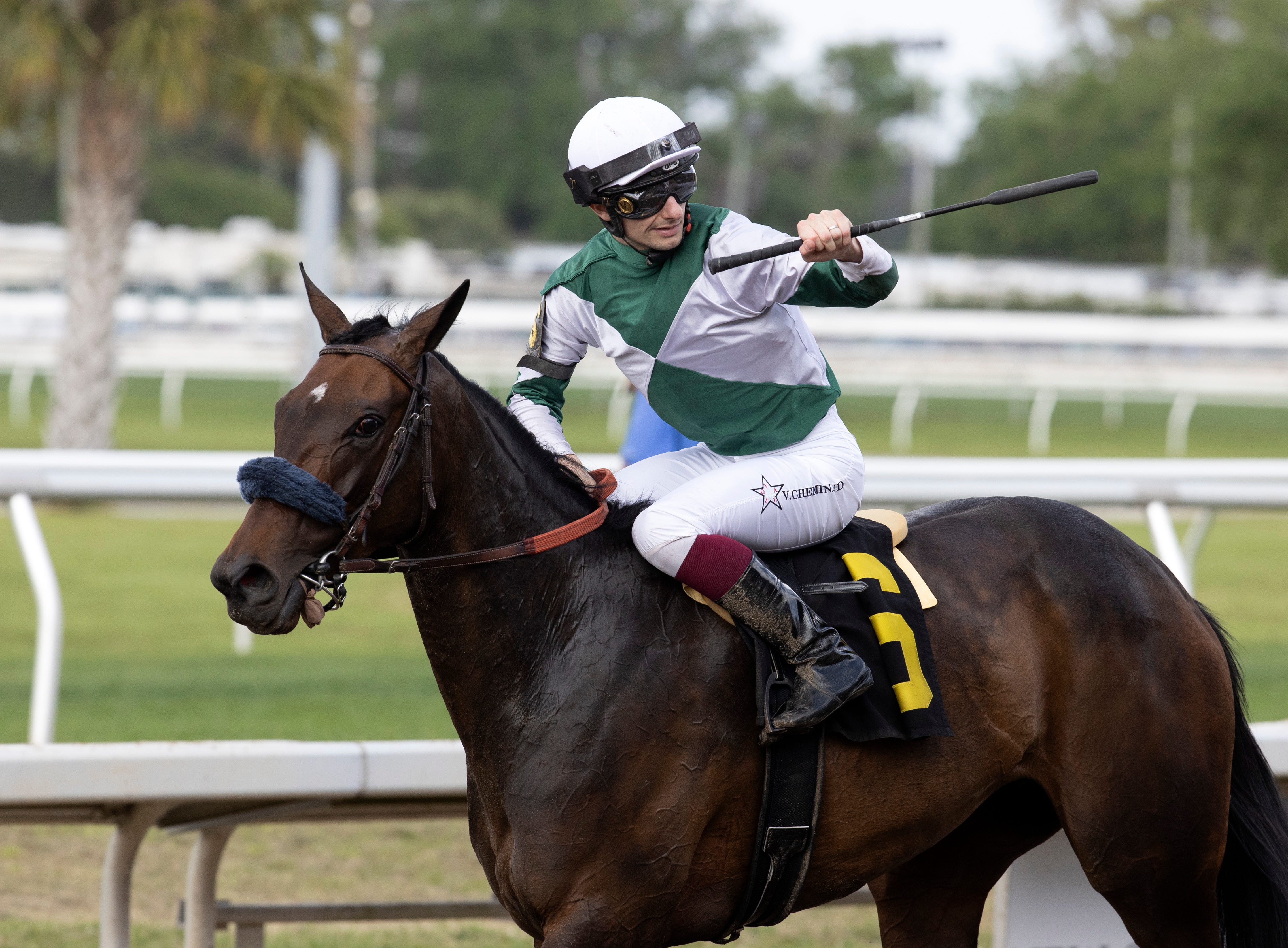 On six-race streak, Didia faces toughest test in Modesty