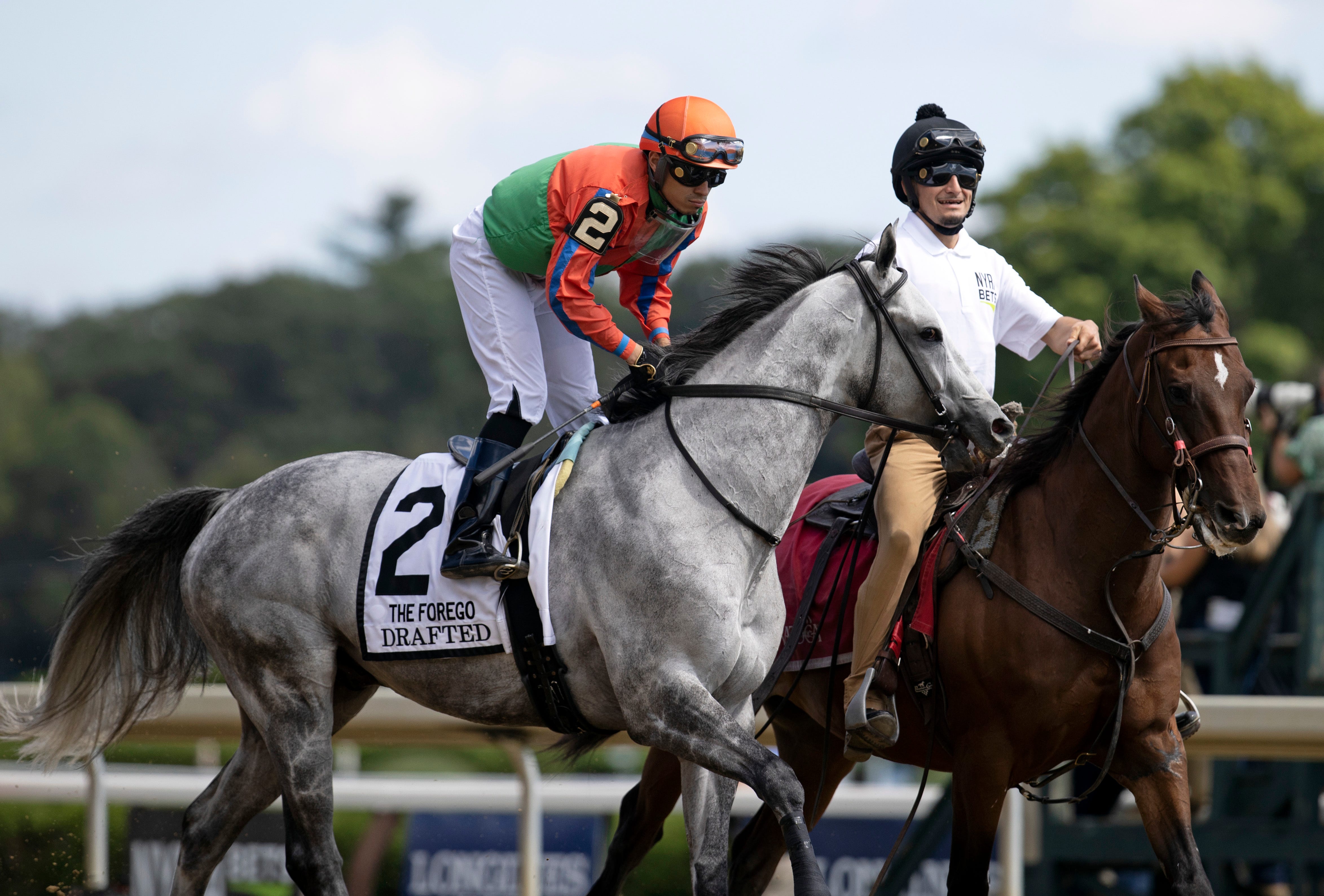 Drafted looks to rebound and repeat in Mr. Prospector