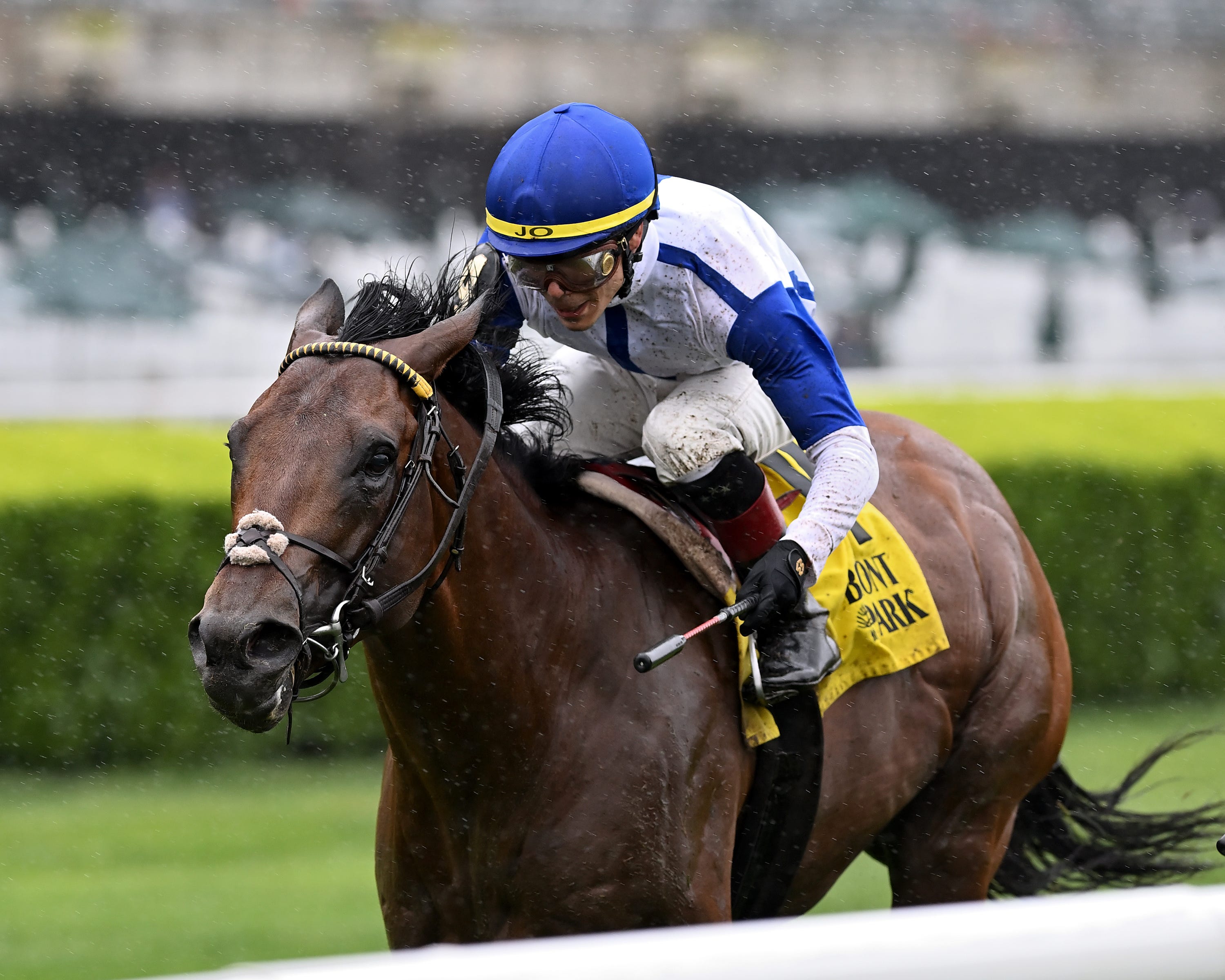 Eye Witness holds on to take the Paradise Creek