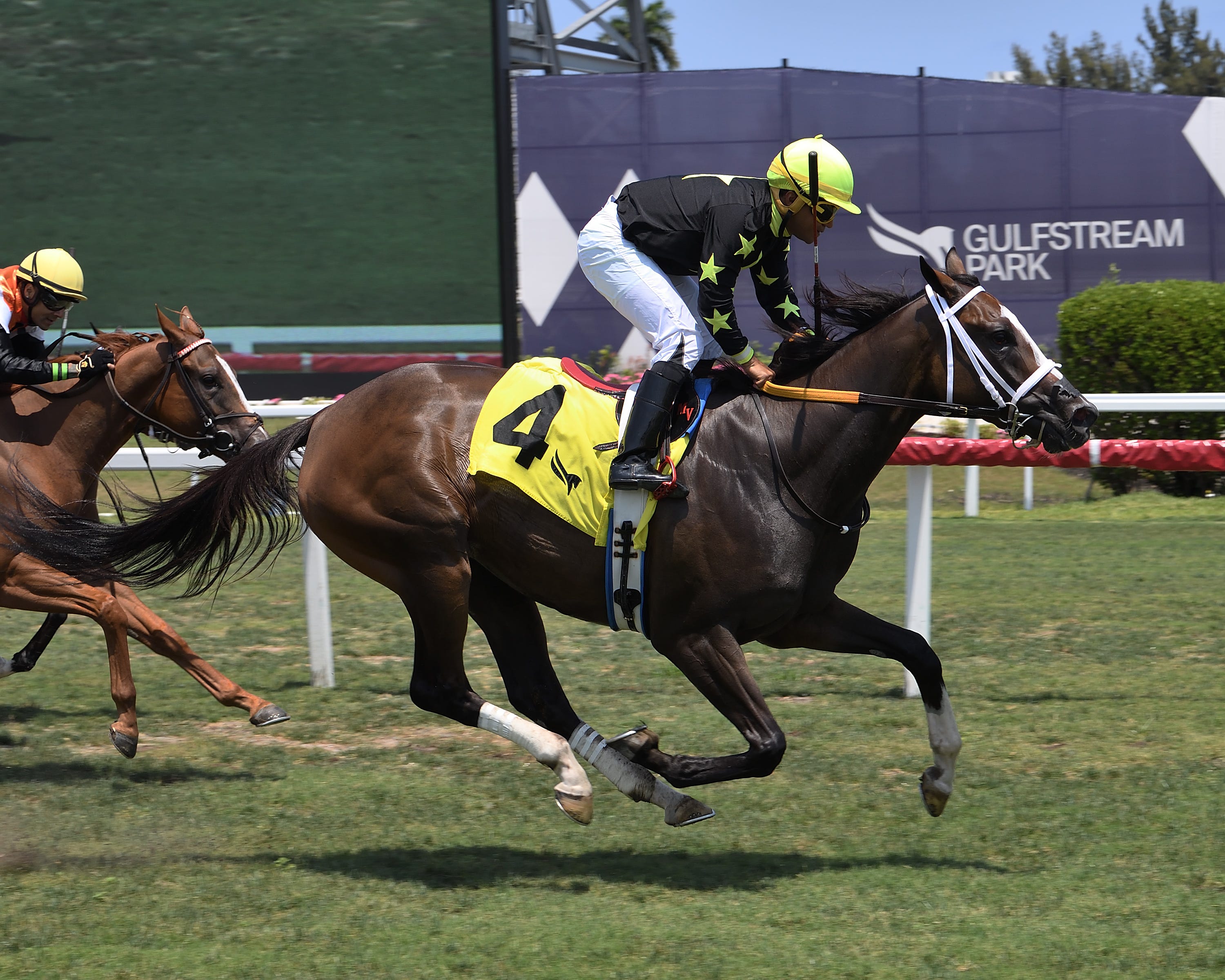 Honor D Lady wins Honey Ryder Stakes