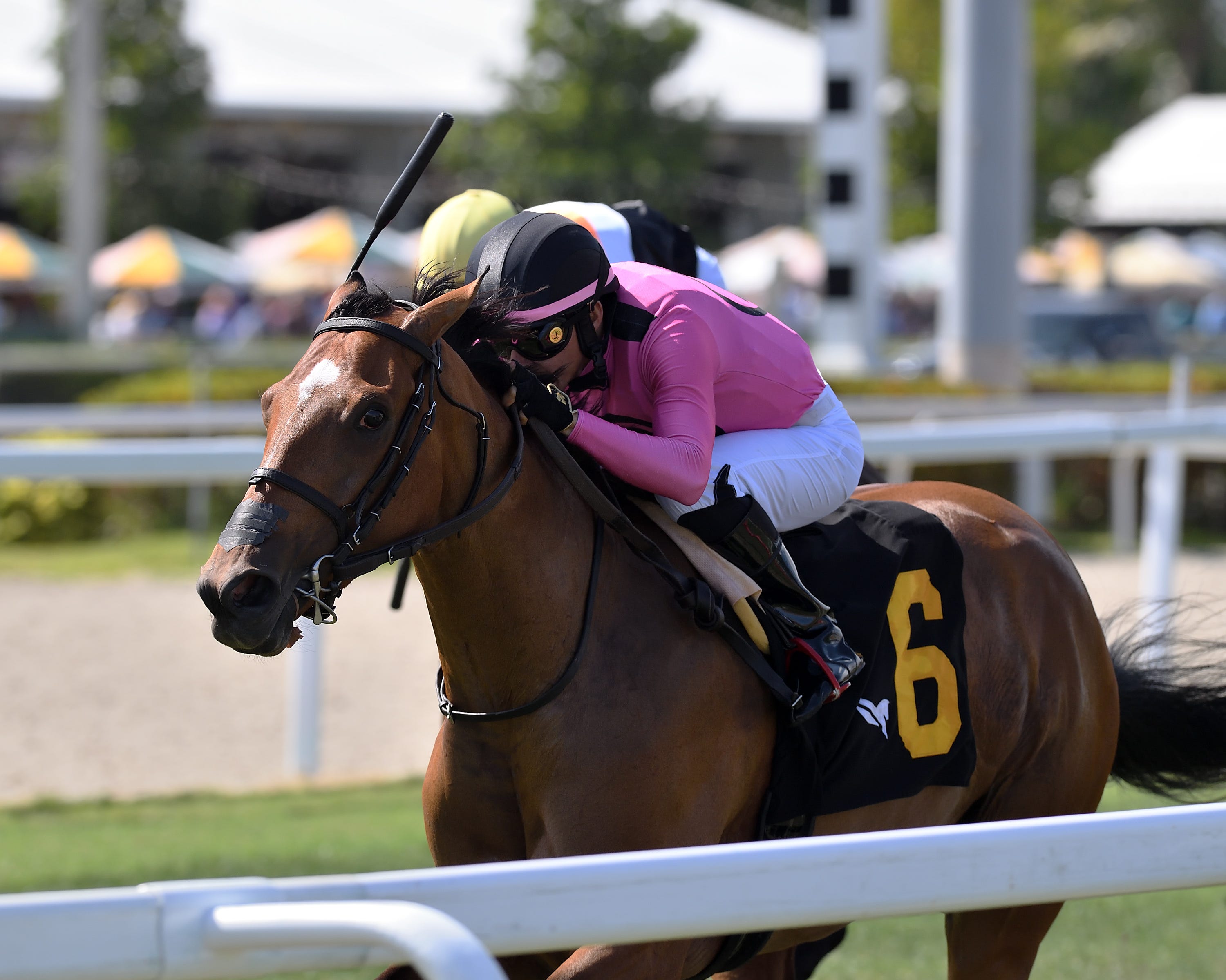 Join the Dance ($27.60) makes it look easy in Monroe Stakes