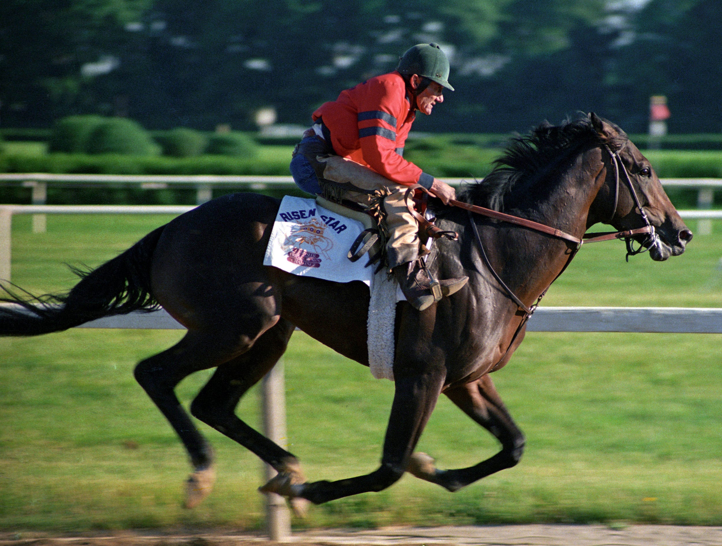 Secretariat's stud career produced brilliant stars, dimmed only by ...