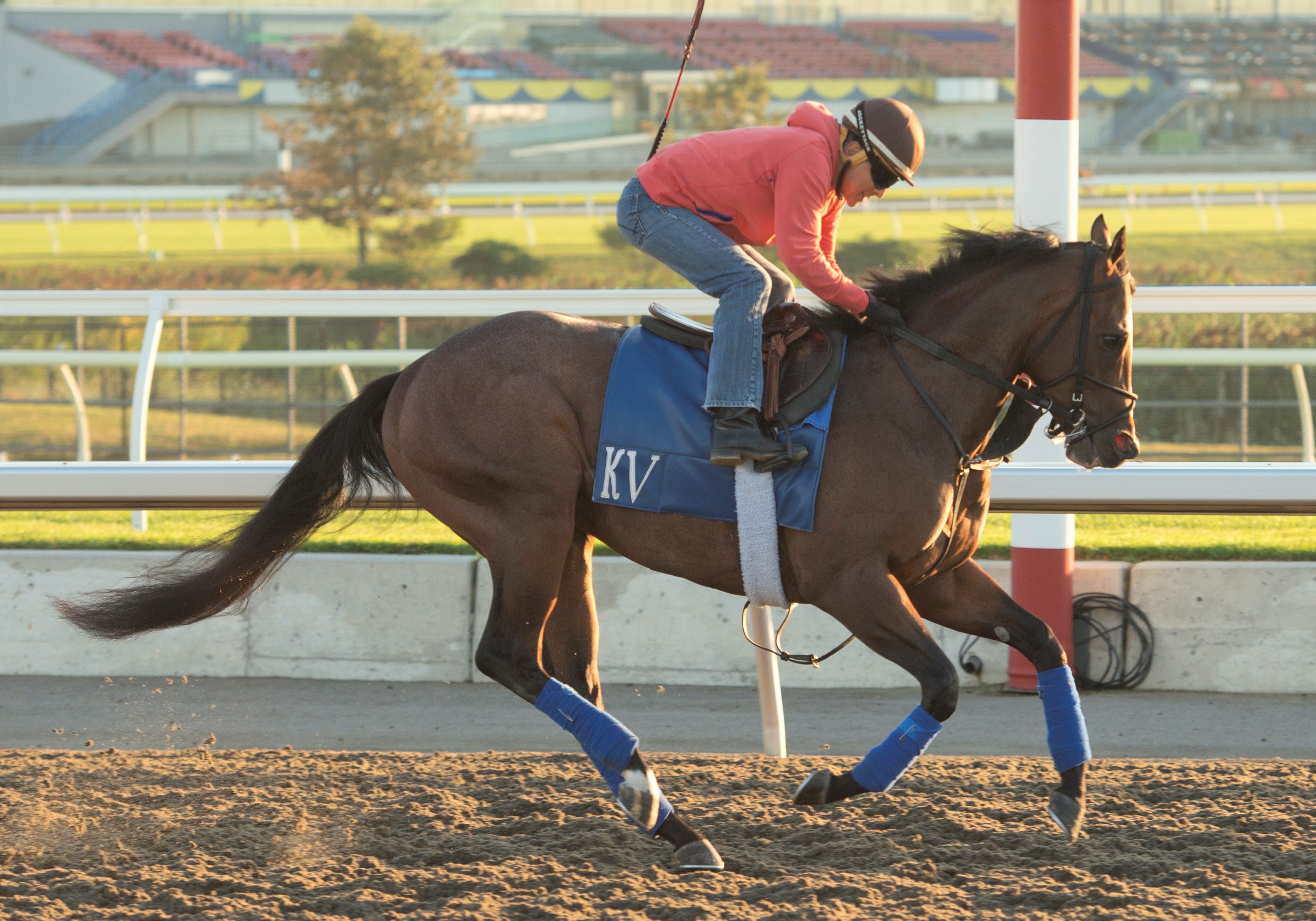 All systems go for Rondure as he shortens up in second start off layoff