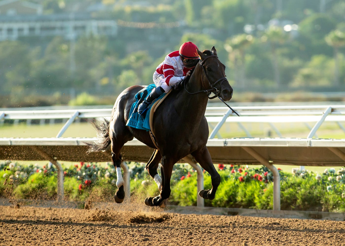 Royal Ship tries synthetic in All American Stakes