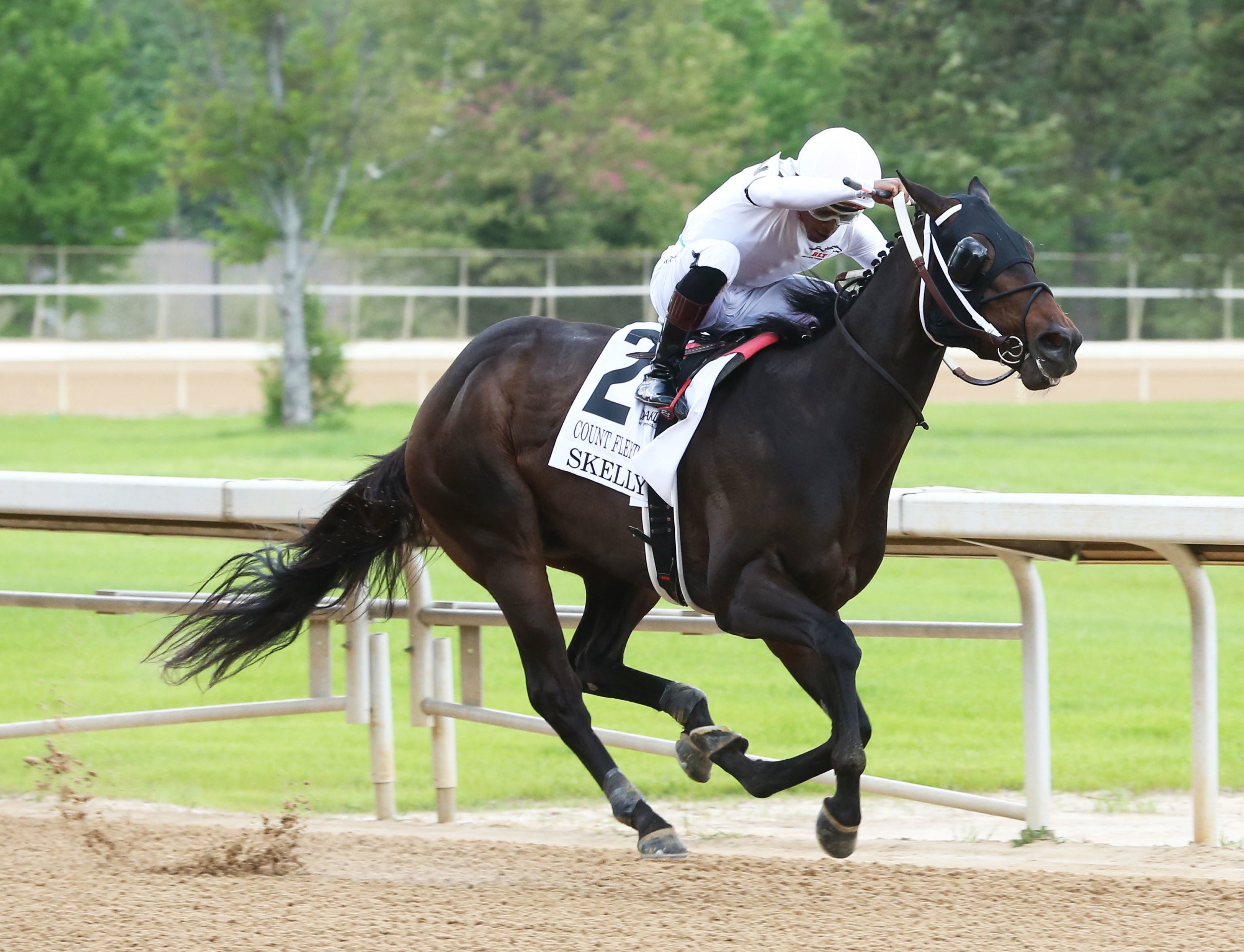 Skelly, Walker's Win try to stretch streaks in Lake Hamilton Stakes