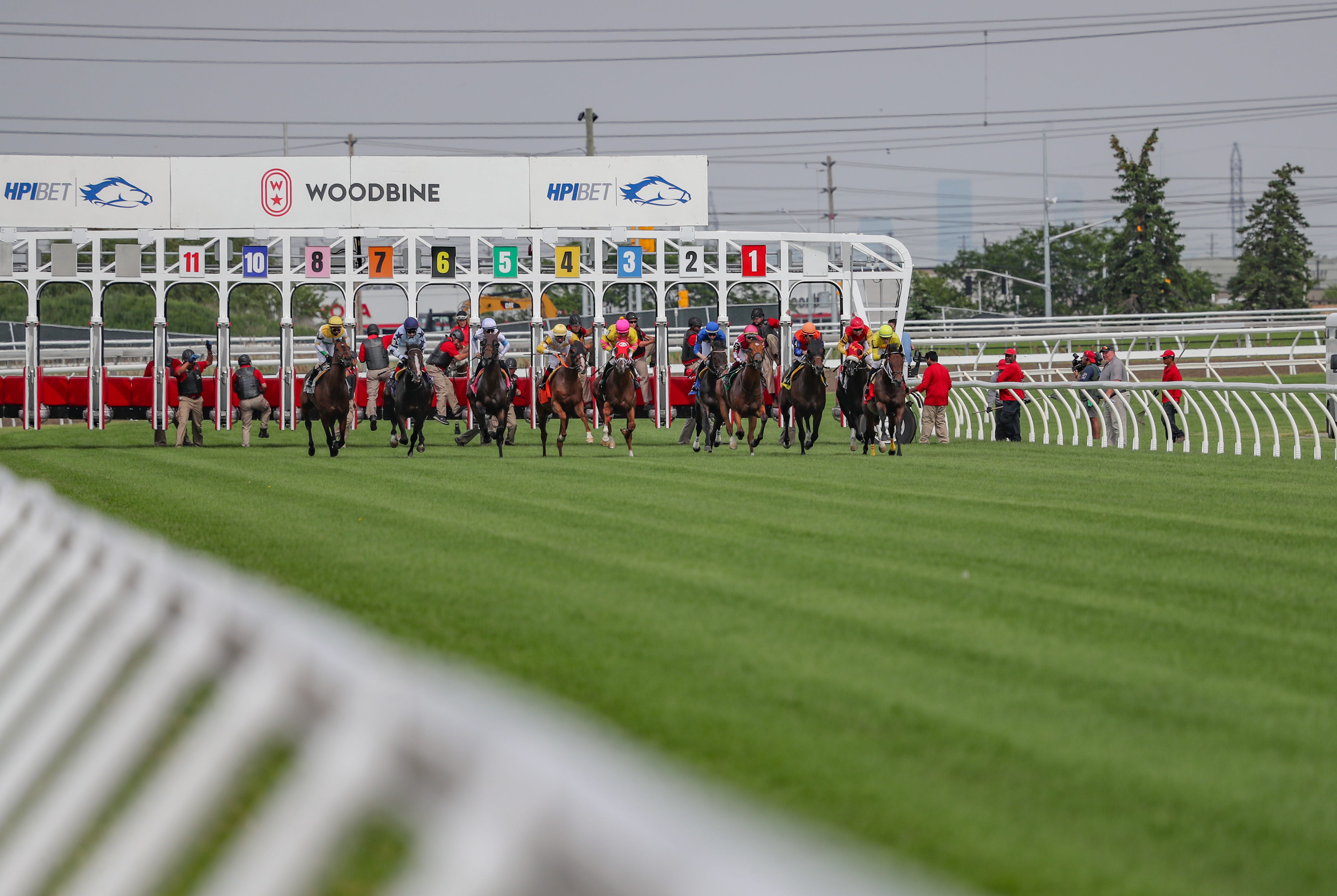 Turf course opens at Woodbine with three competitive races