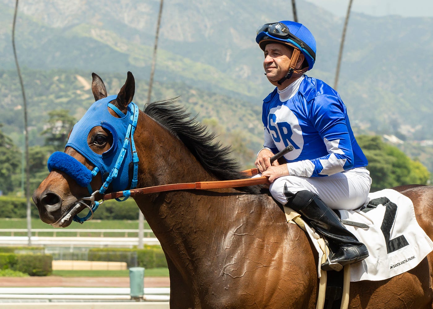 Fast Buck's speed gives him edge in Daytona Stakes