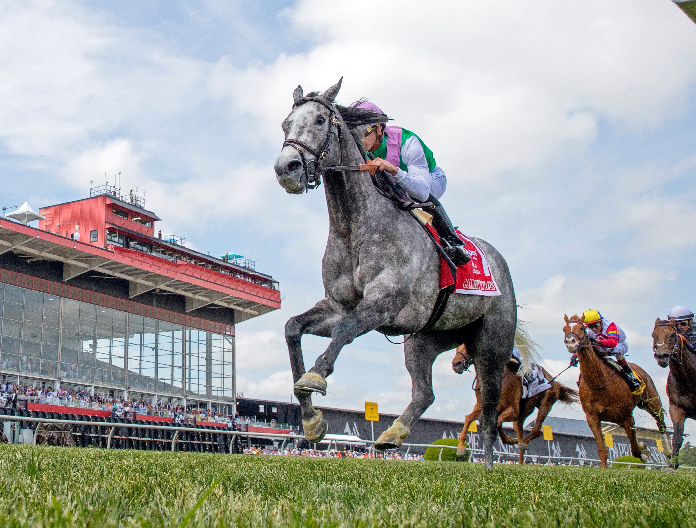 Whitebeam takes Gallorette in second North American start