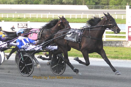 Plainridge: Khaosan Road rolls to Bunker Hill Trot triumph