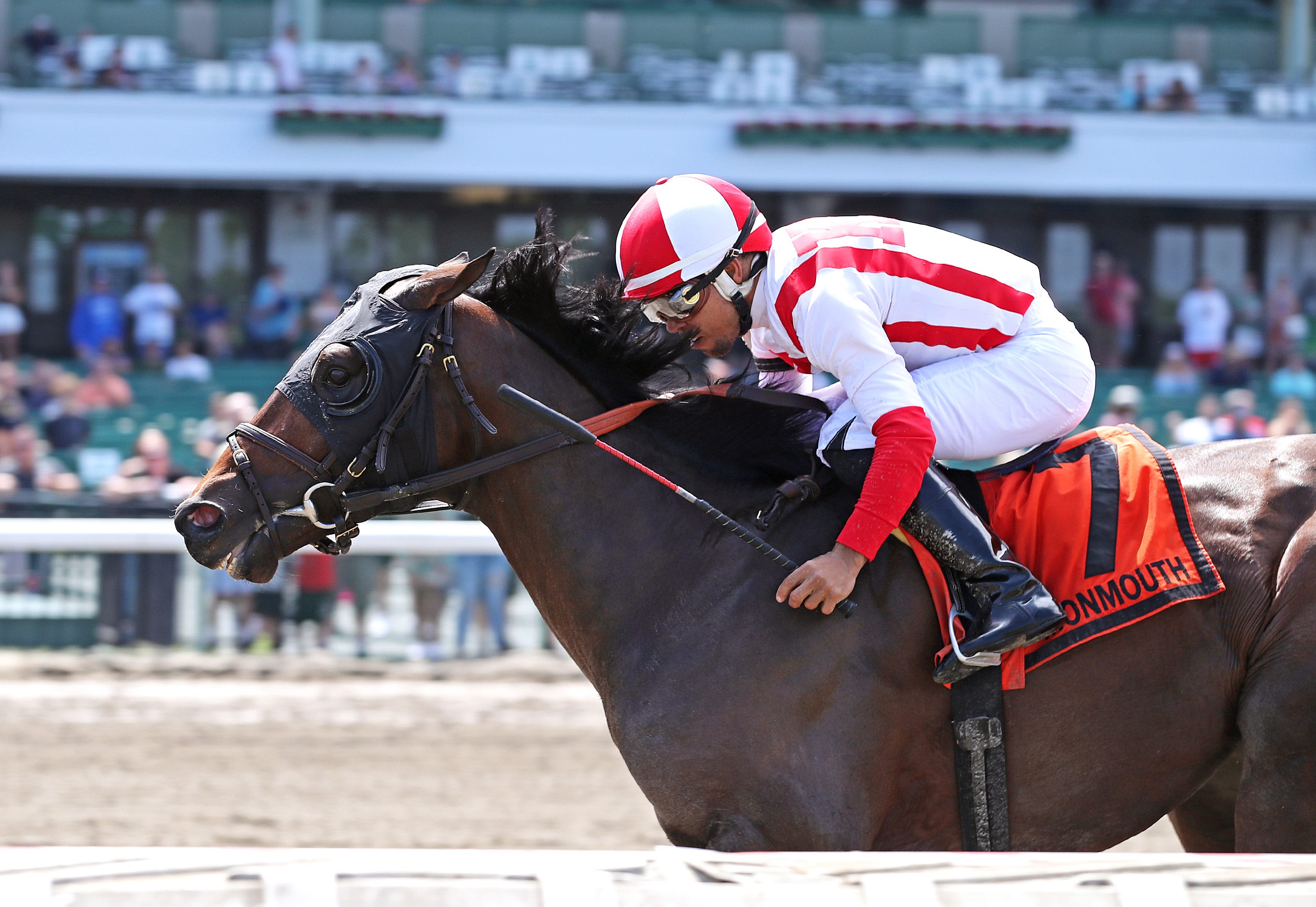 Power in Numbers gets up late, takes Tale of the Cat