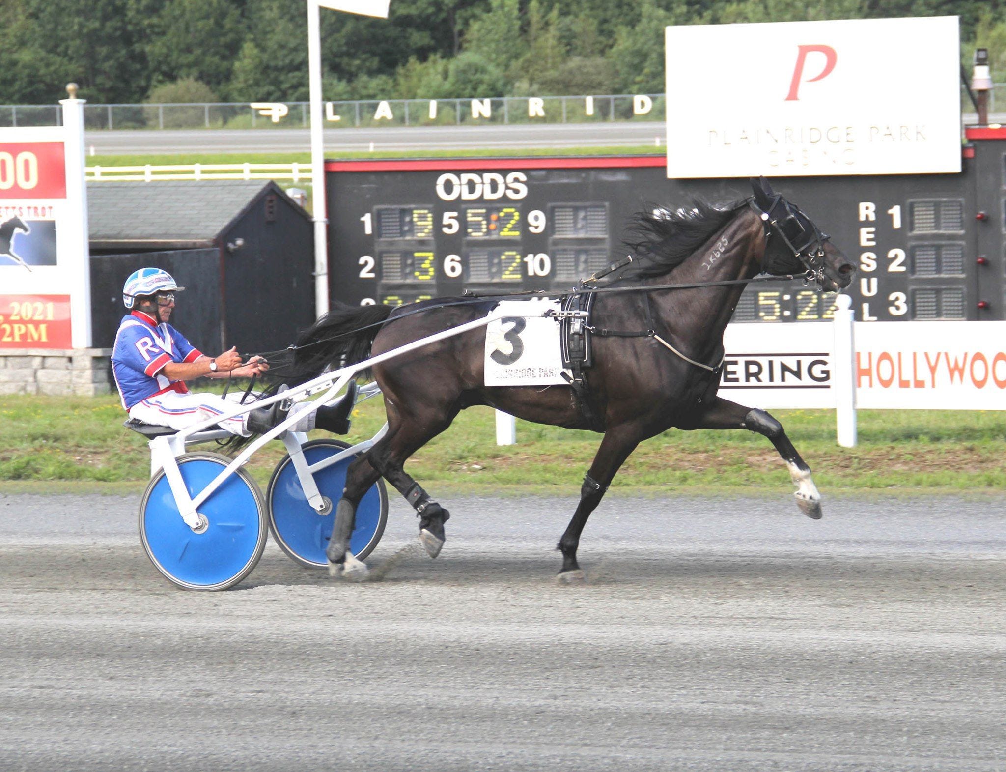 Plainridge Park: 86-year-old Bob Tisbert scores 2,400th career driving win