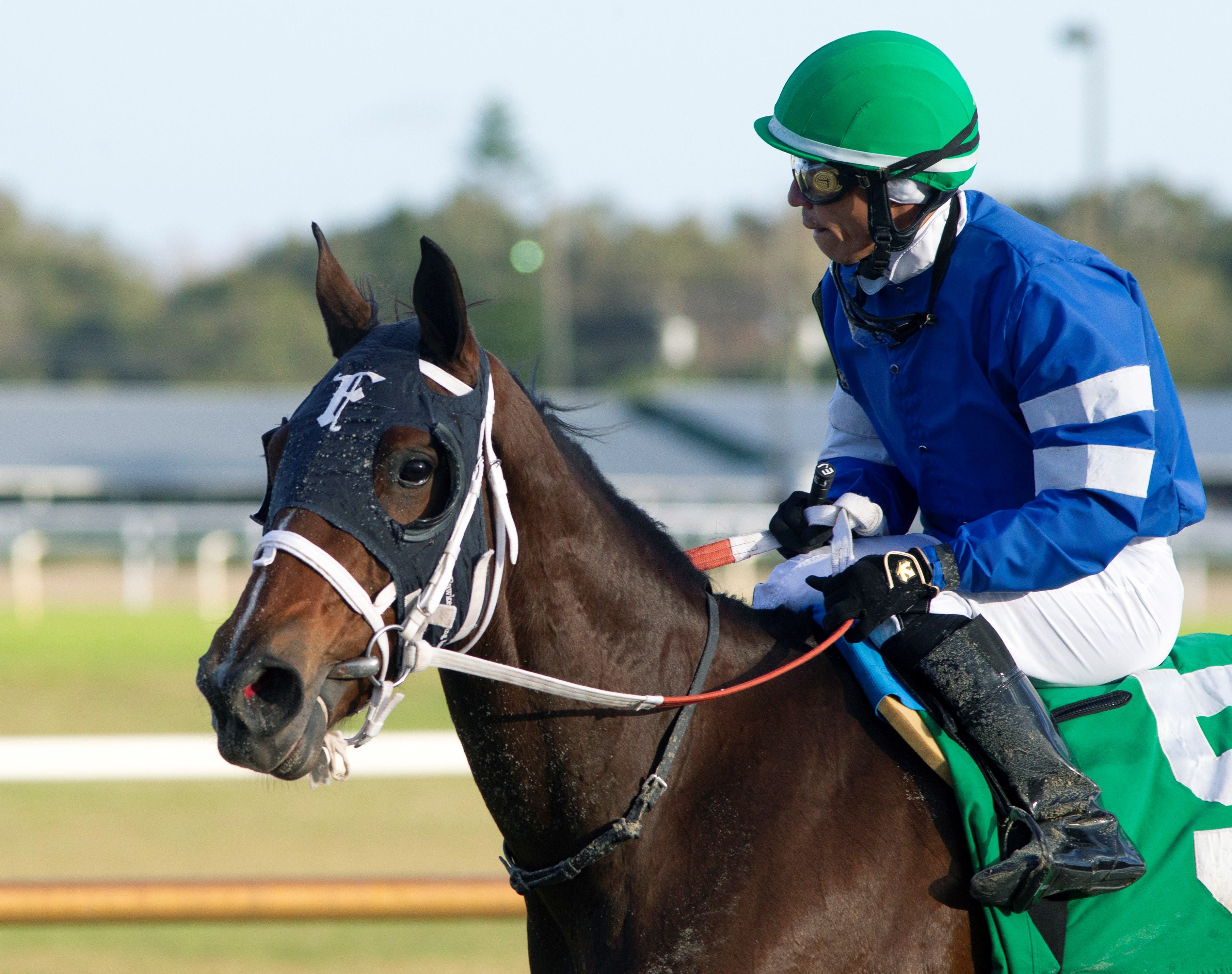 Charlie's Wish back sprinting in Game Face Stakes