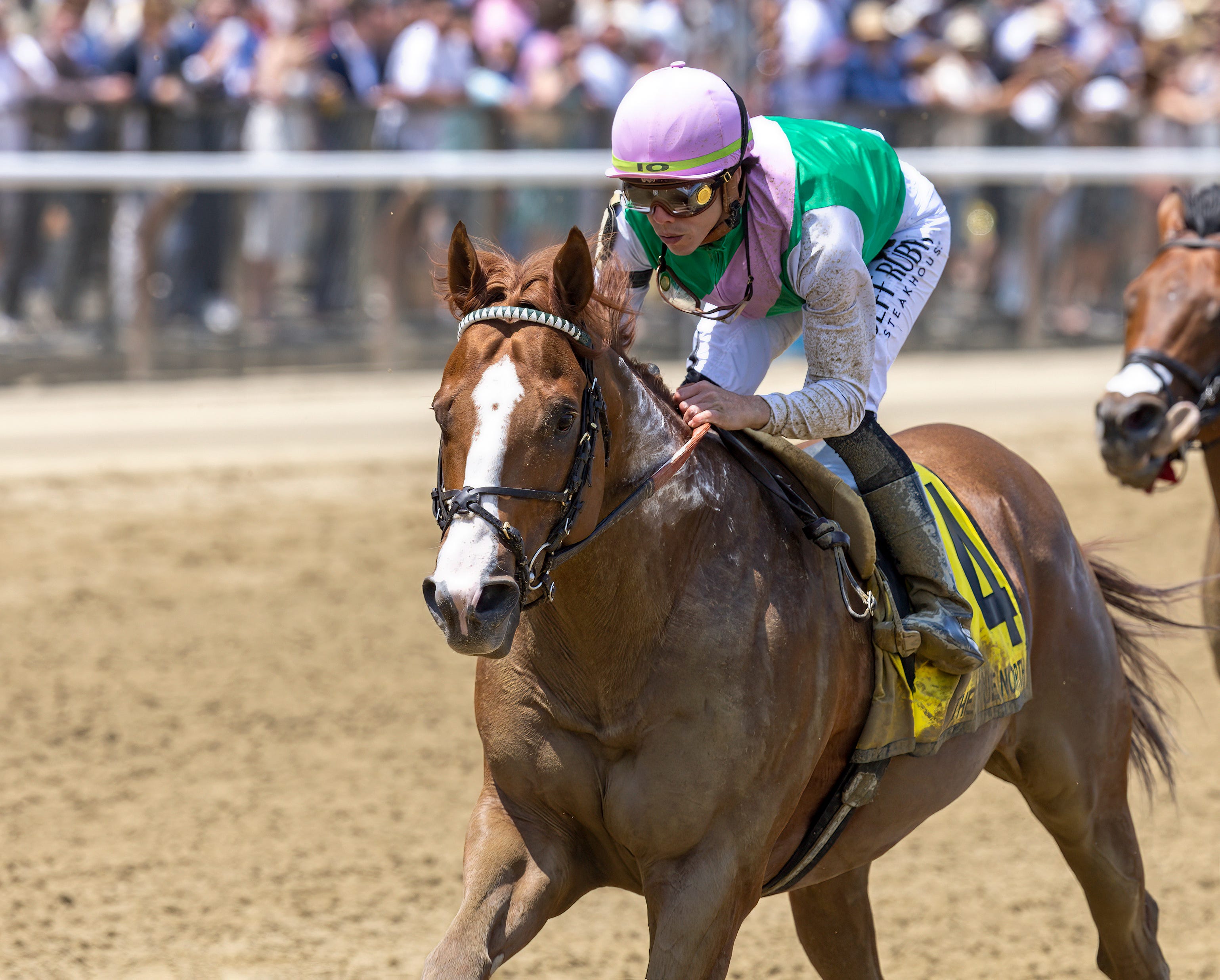 Elite Power shows class in True North