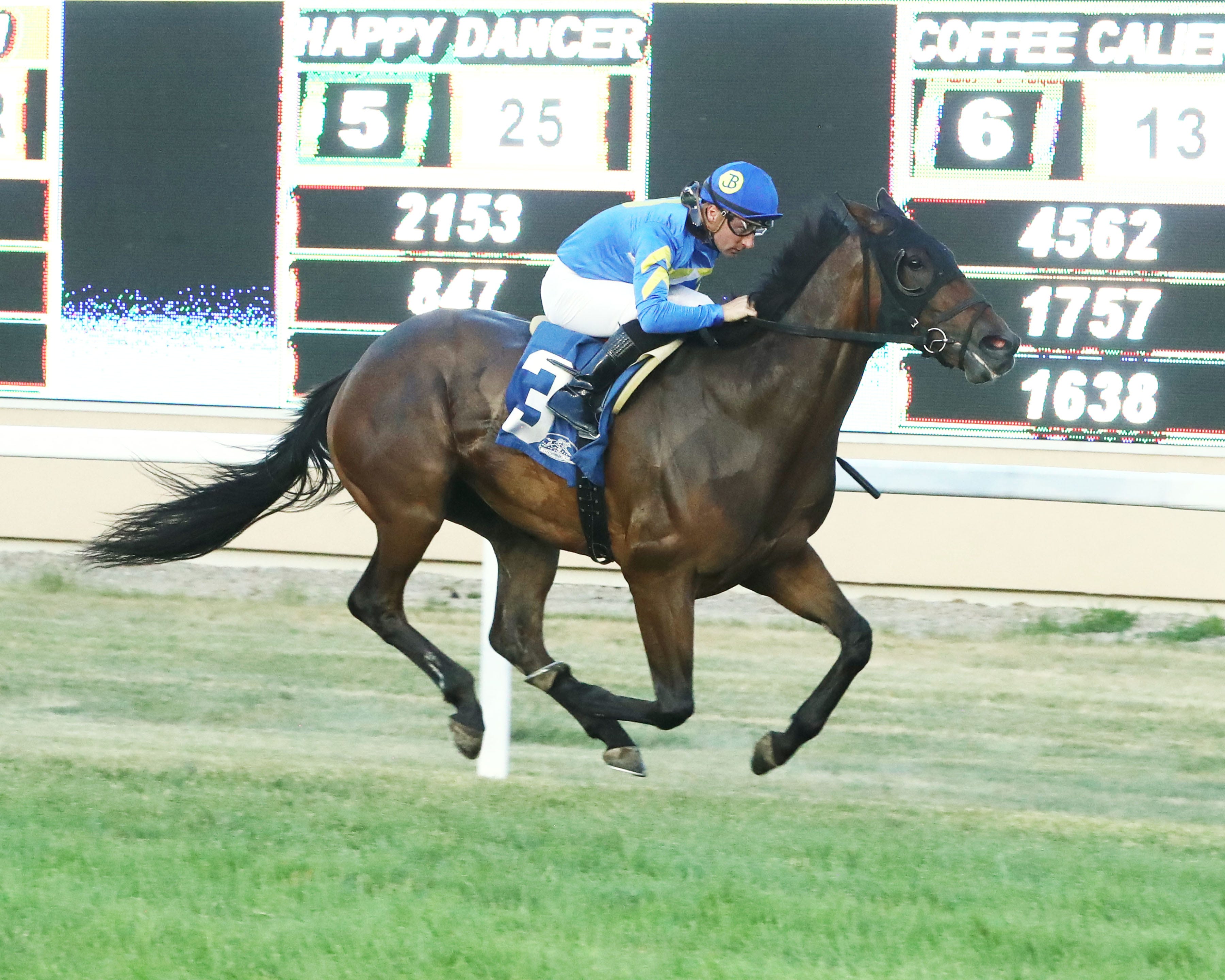 Golden Bandit steals away in Canterbury Derby