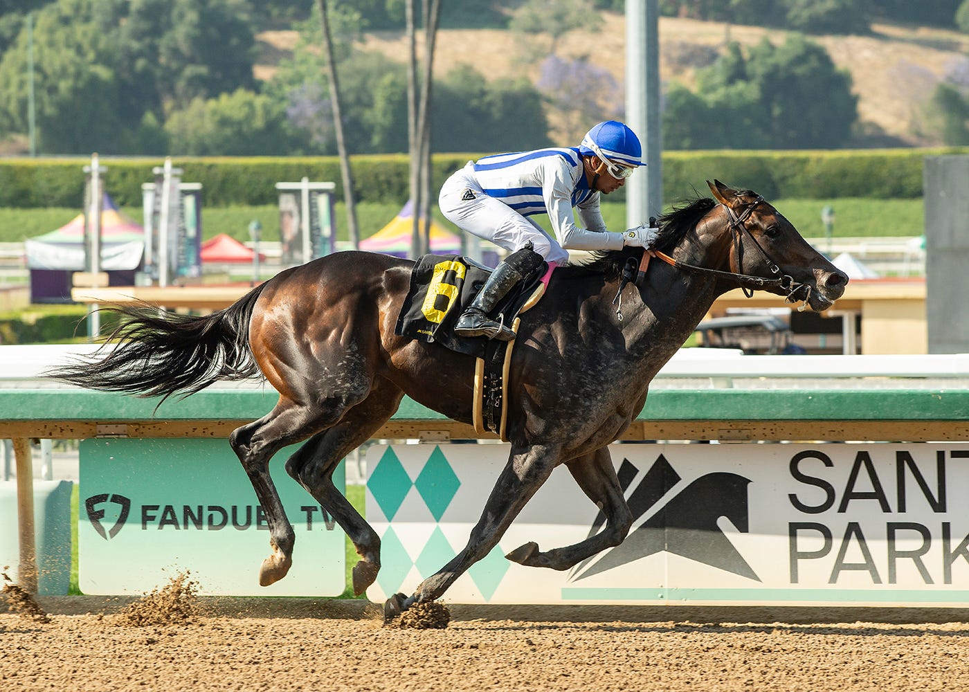 Geaux Rocket Ride preps for Haskell with Affirmed Stakes triumph