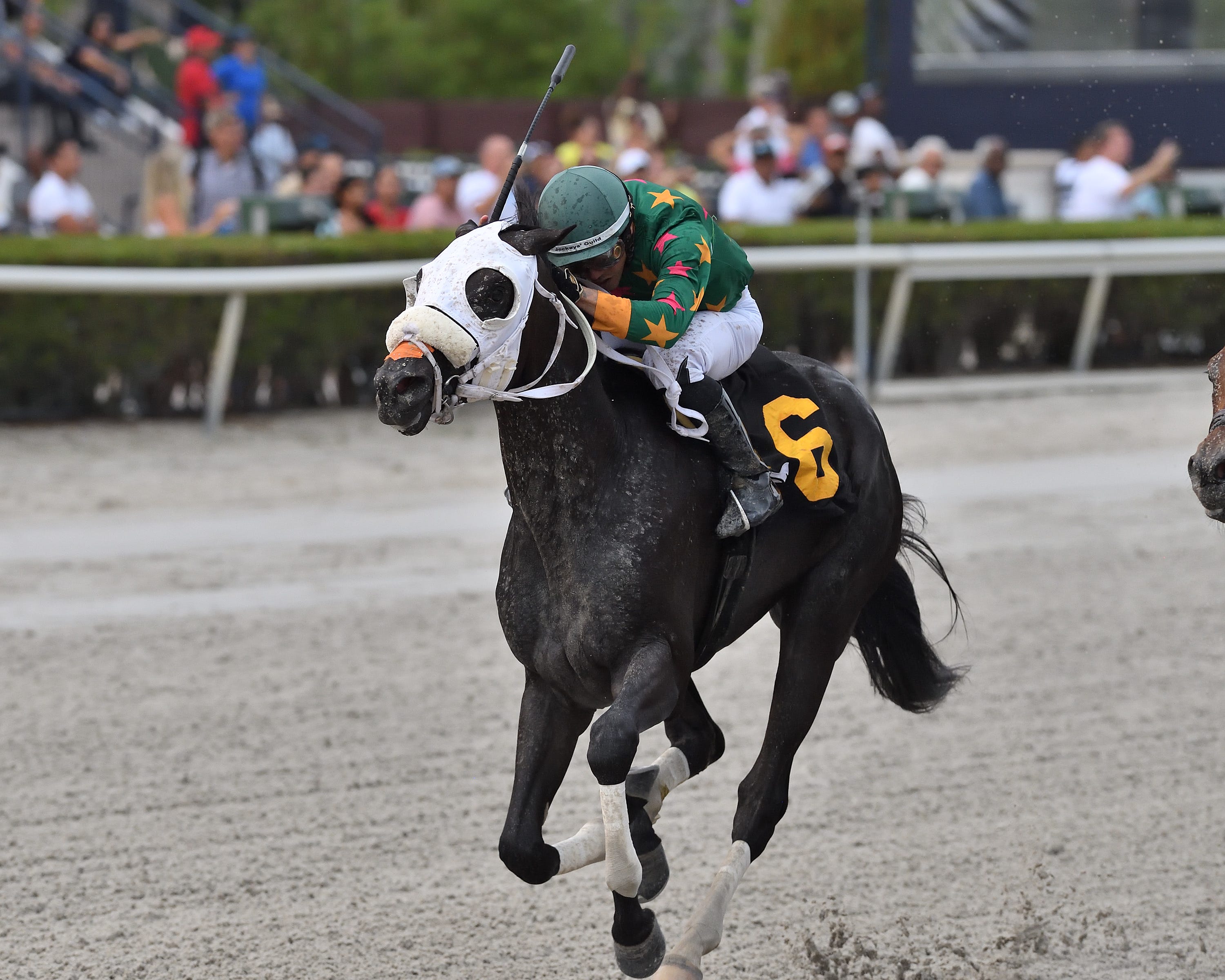 Lightning Tones upsets Carry Back by a nose