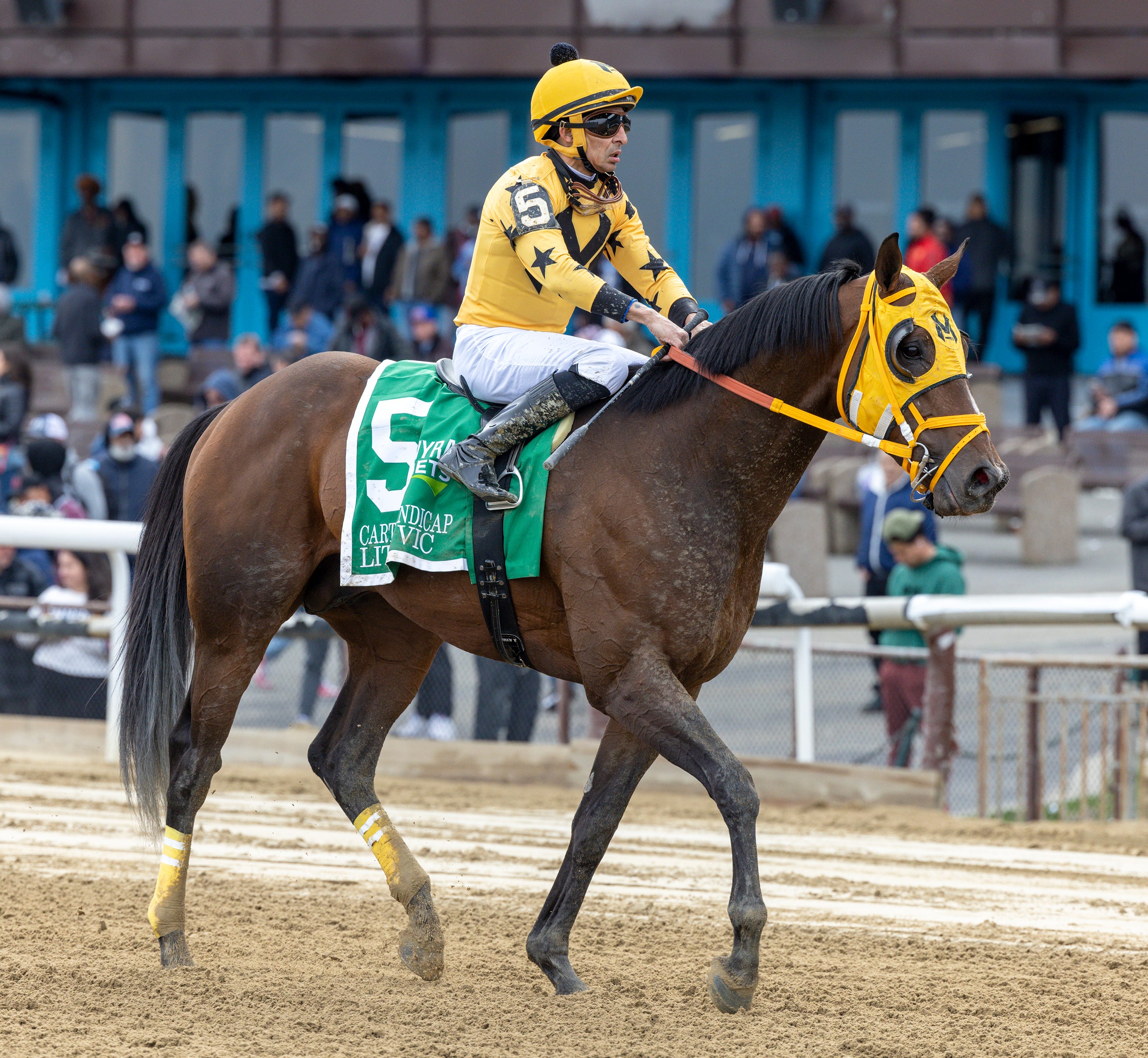 Little Vic will look to rebound in John Nerud Stakes