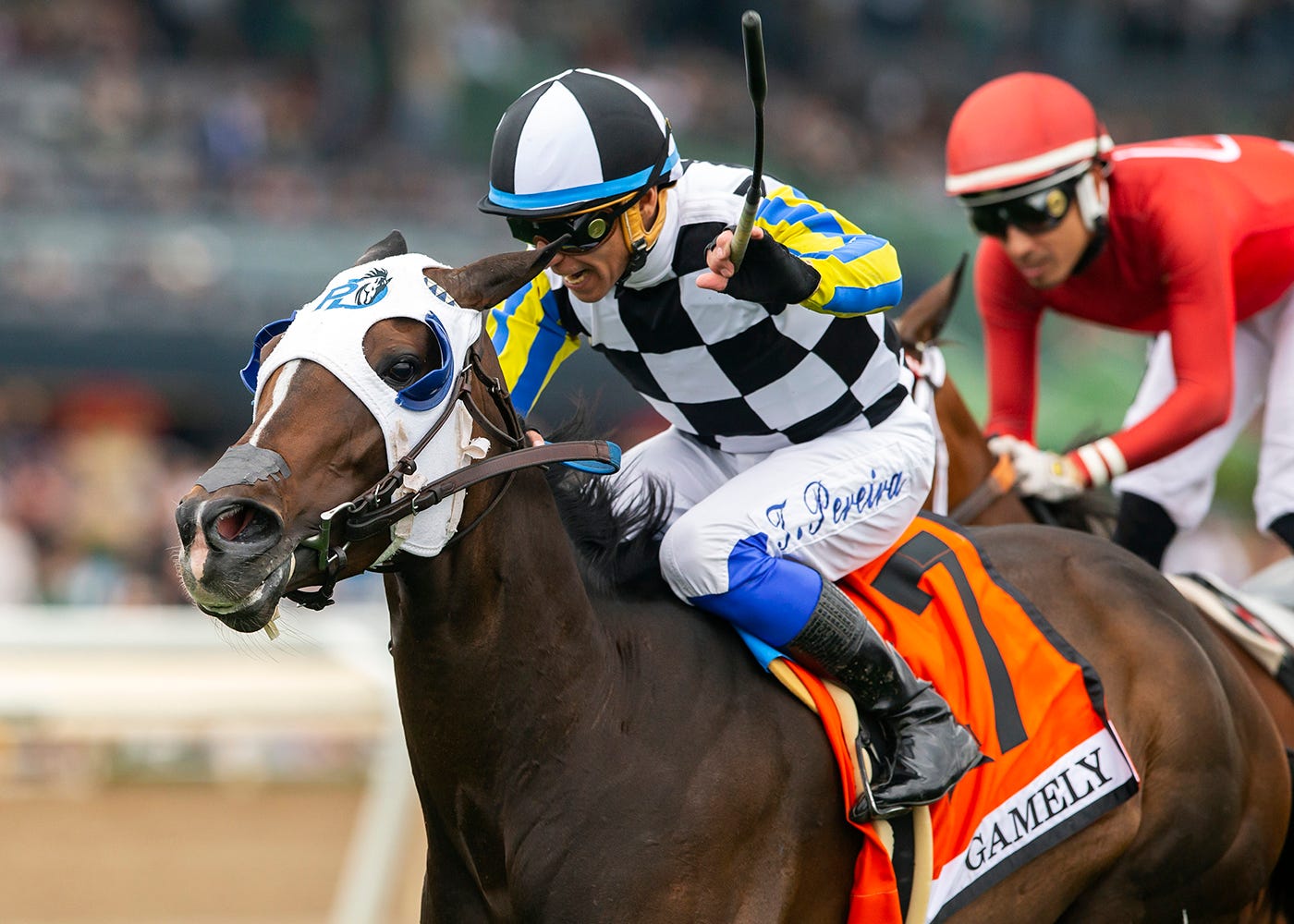 D'Amato has Turnerloose, Macadamia for Rodeo Drive Stakes
