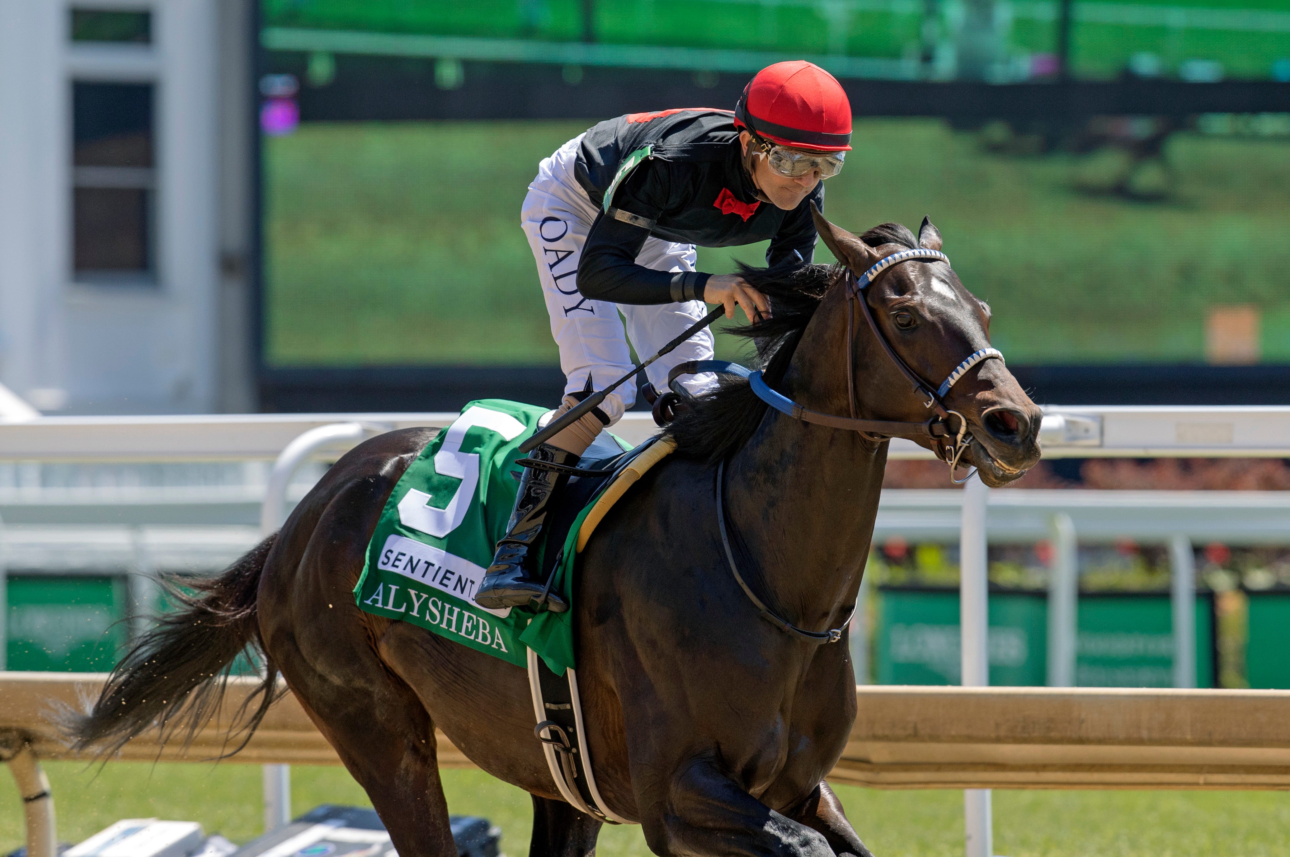 Smile Happy responding well to time off, eyeing Pegasus World Cup