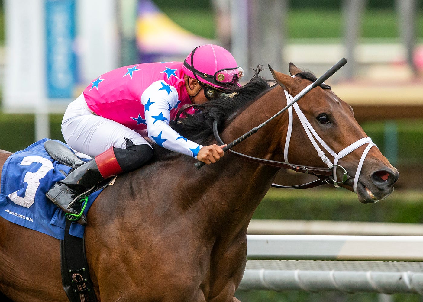 Churchill turf racing a ‘day-to-day decision'