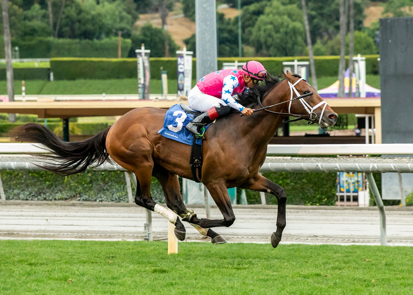 Wizard of Westwood possible for Belmont Derby