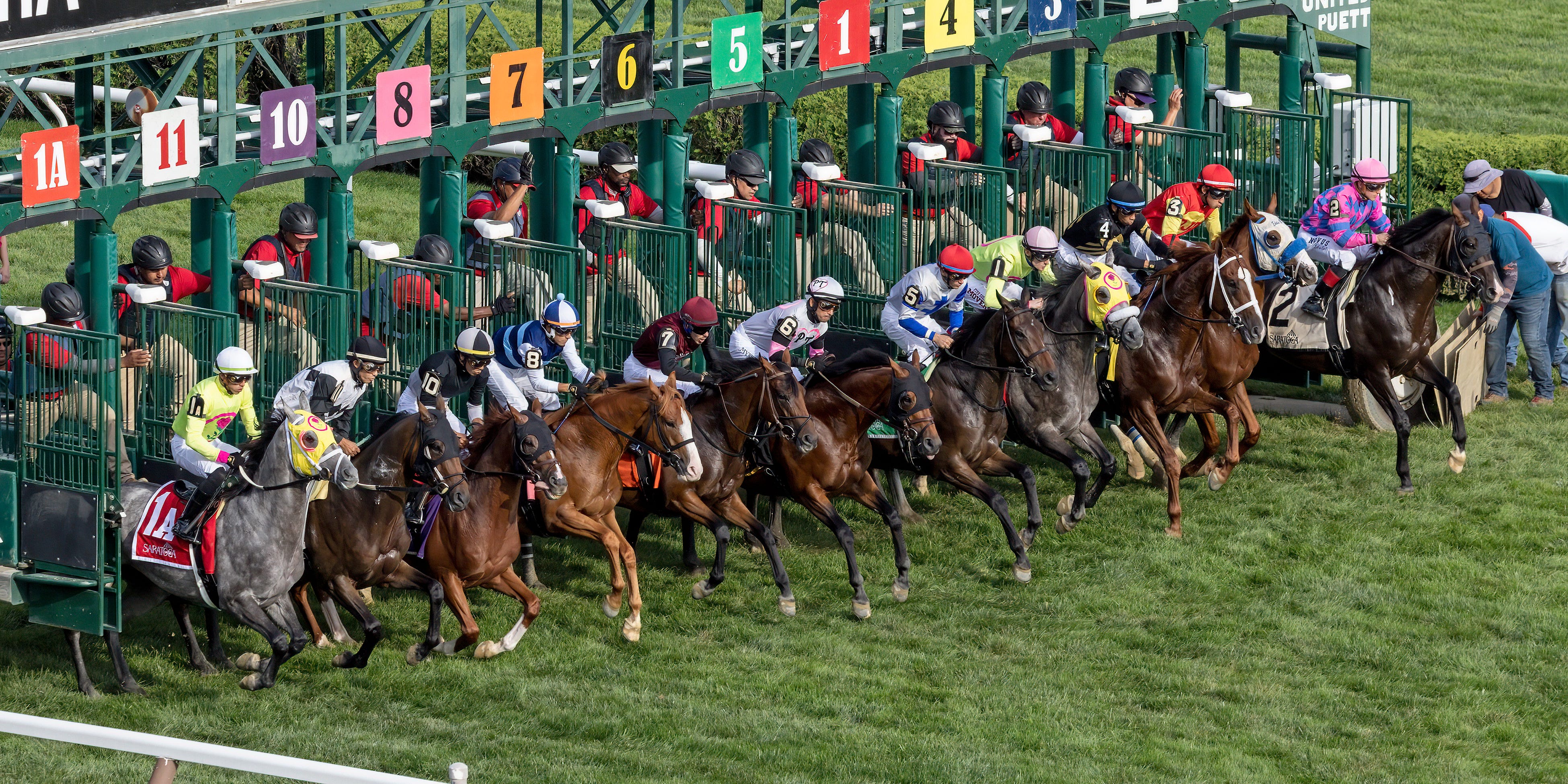 New York-breds will be eligible for purse bonuses in open races at Saratoga